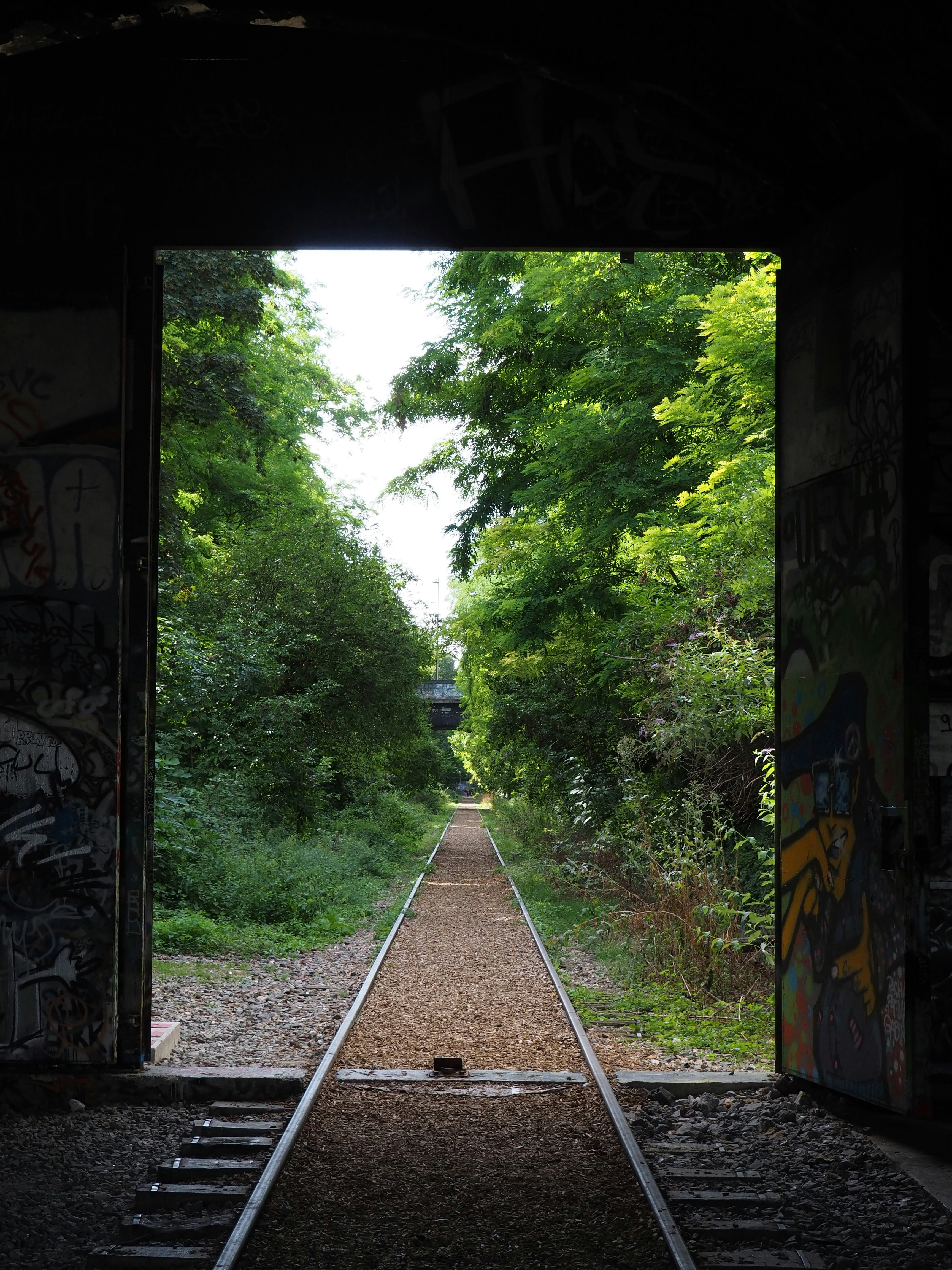 Convergence Through Graffiti: Rails Toward a Sunlit Green Corridor