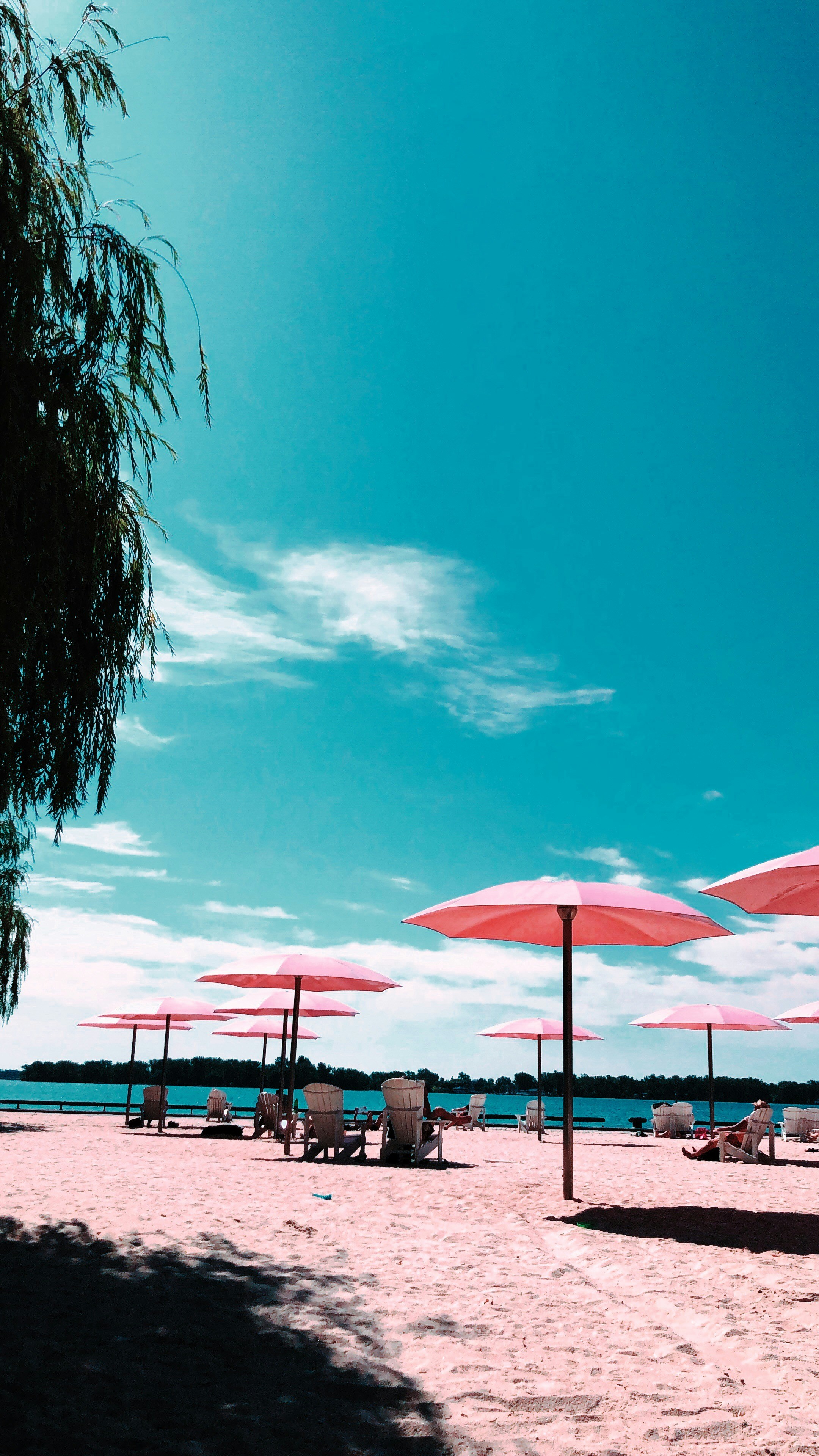 Coral Umbrella Row on a Turquoise Beach