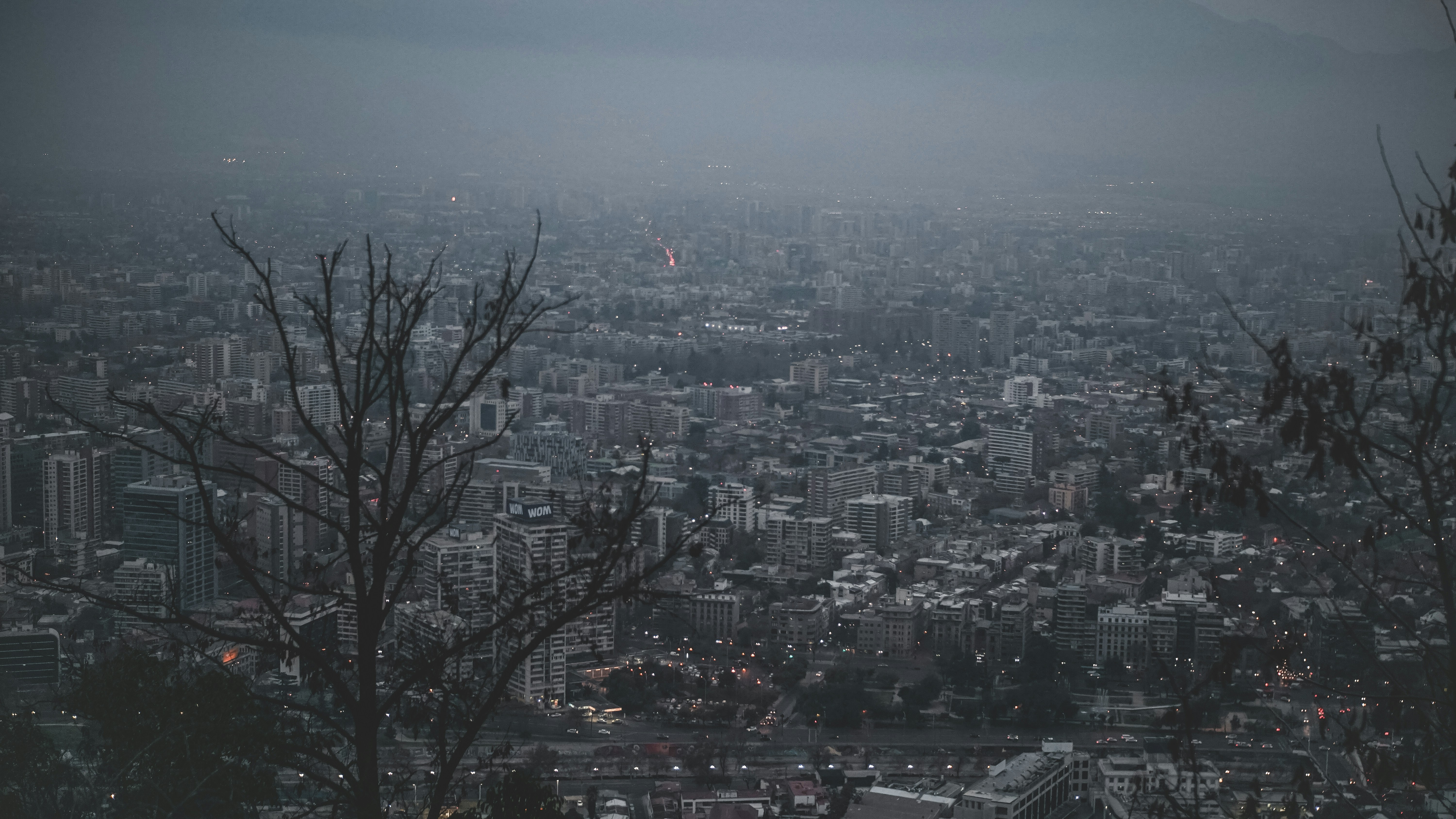 Foggy view of Santiago, Chile, from Cerro San Cristobal with silhouetted trees in the foreground.