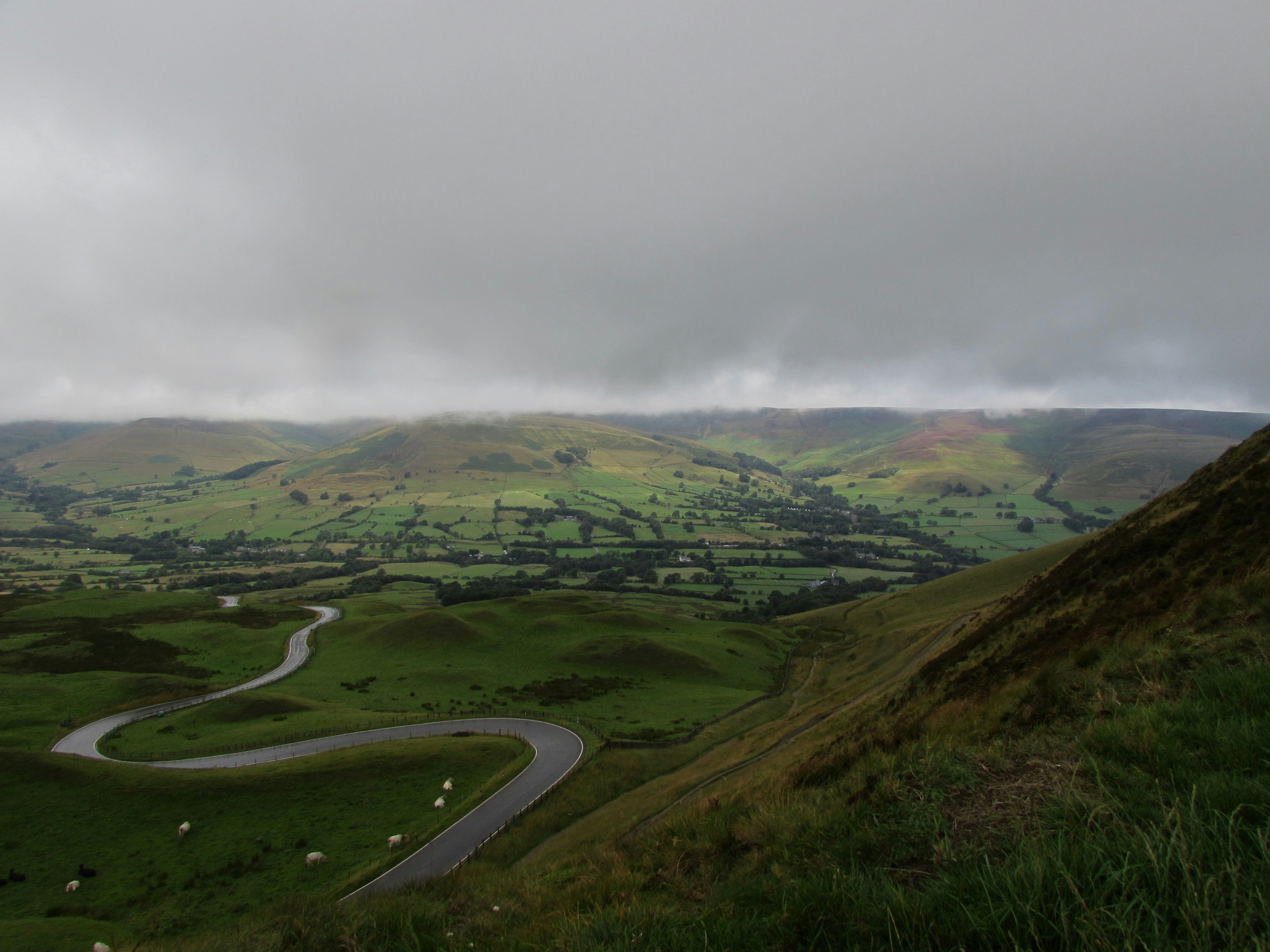 Curving road meanders through lush green hills under a cloudy sky, dotted with grazing sheep. The scene captures the serene beauty of the countryside.