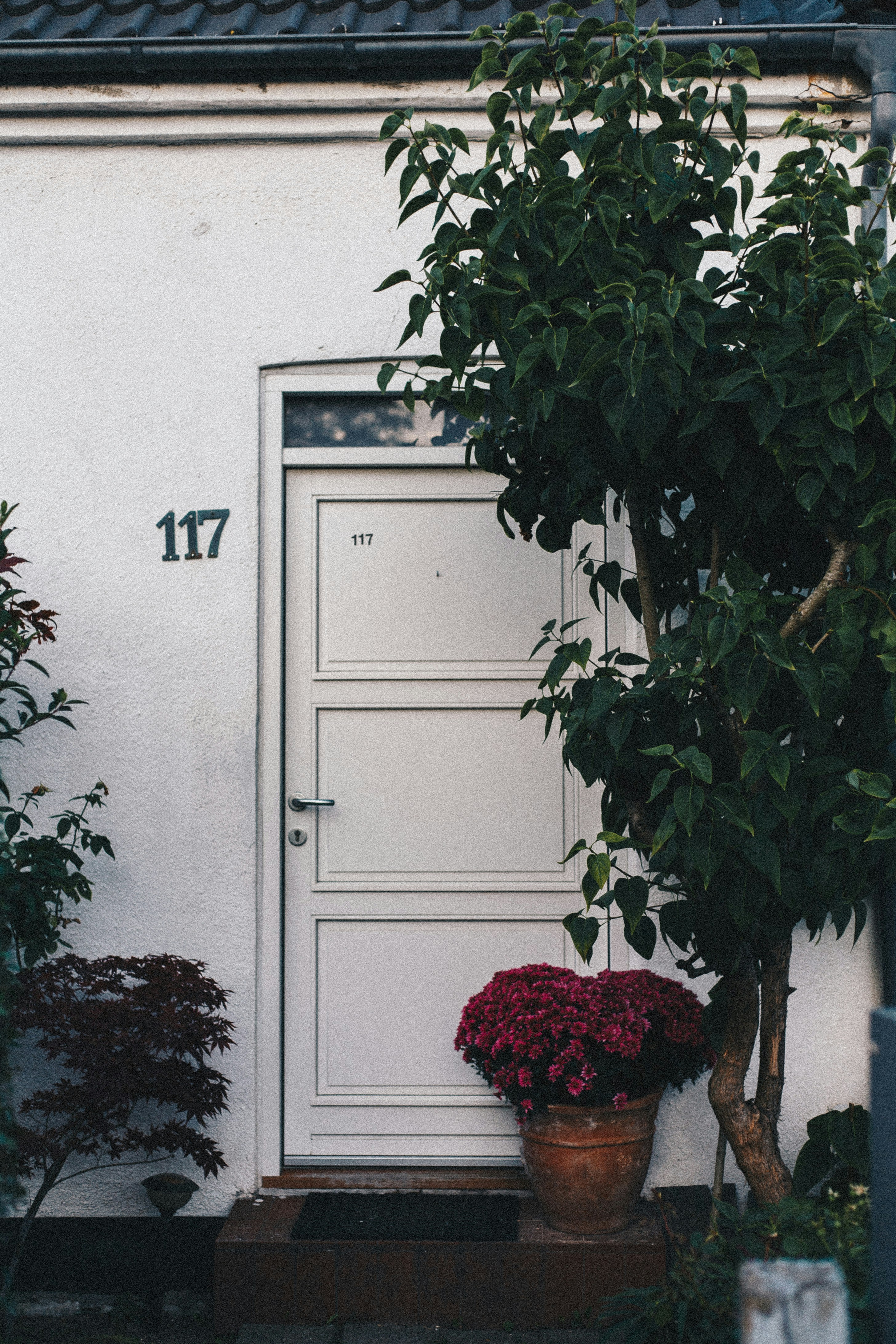 Charming entrance featuring a white door with the number 117, surrounded by lush greenery and a vibrant flower pot.