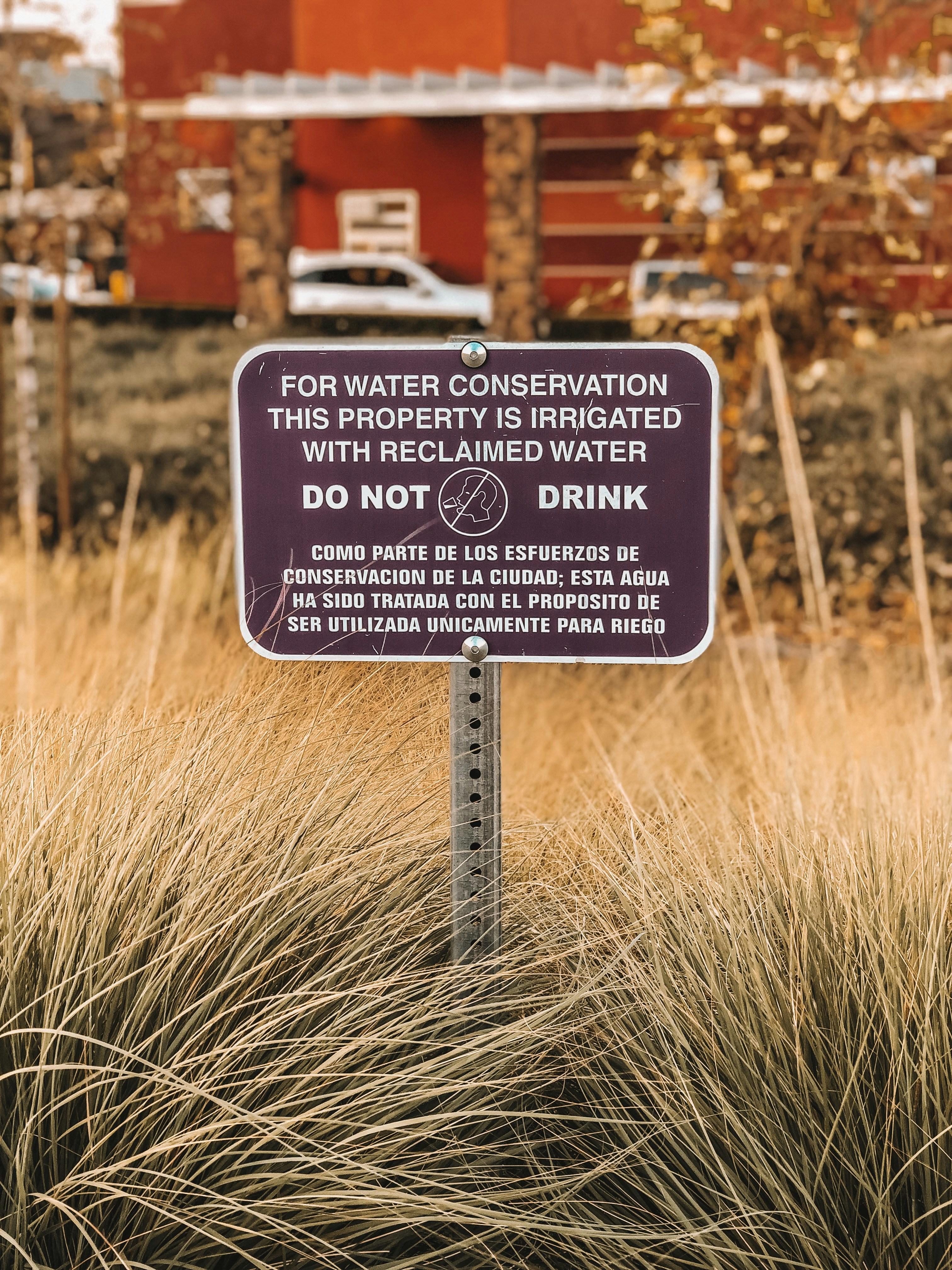 Warning Sign Rising from Golden Grass