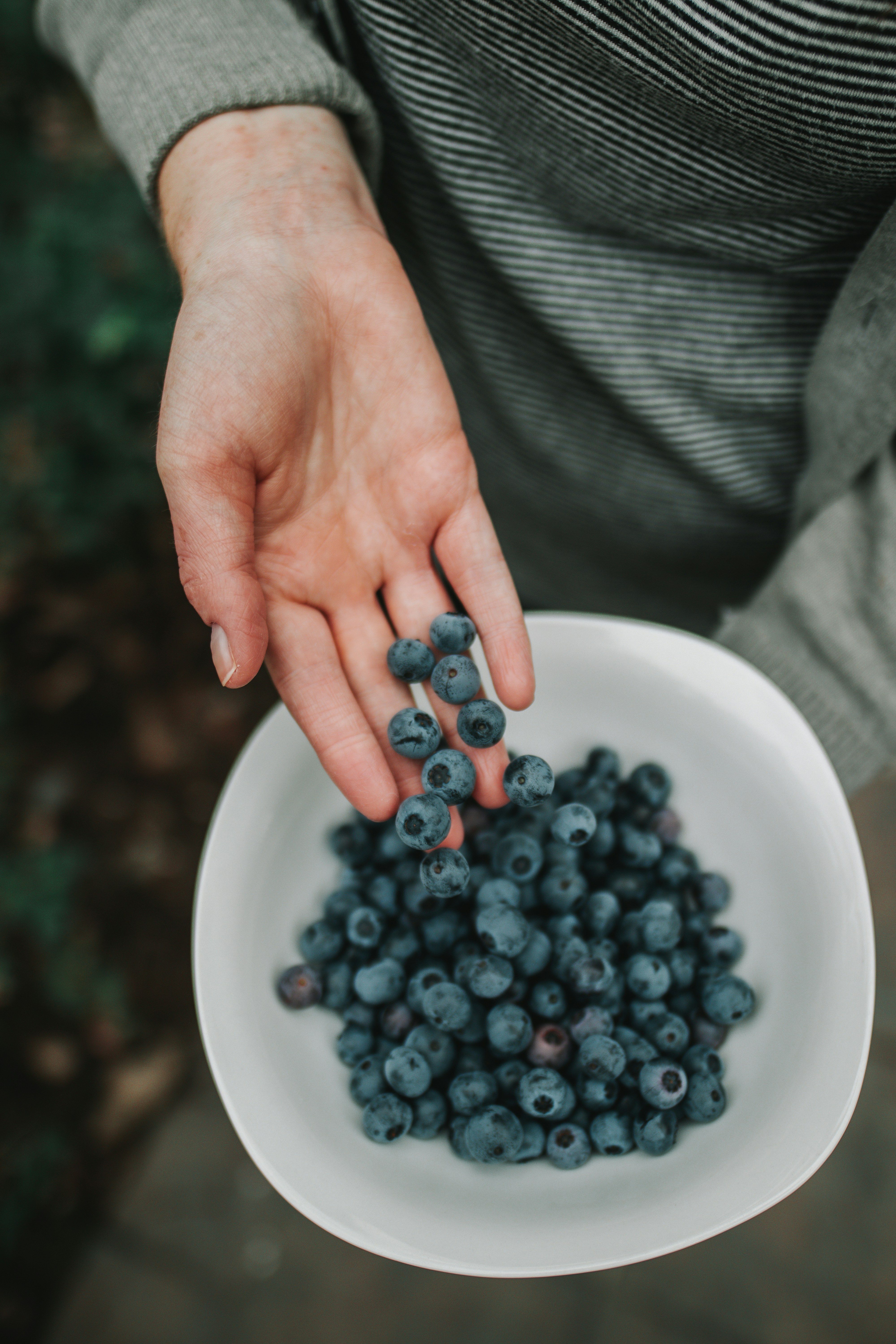 A hand delicately holds fresh blueberries above a bowl filled with more, showcasing the vibrant colors and textures of the fruit.