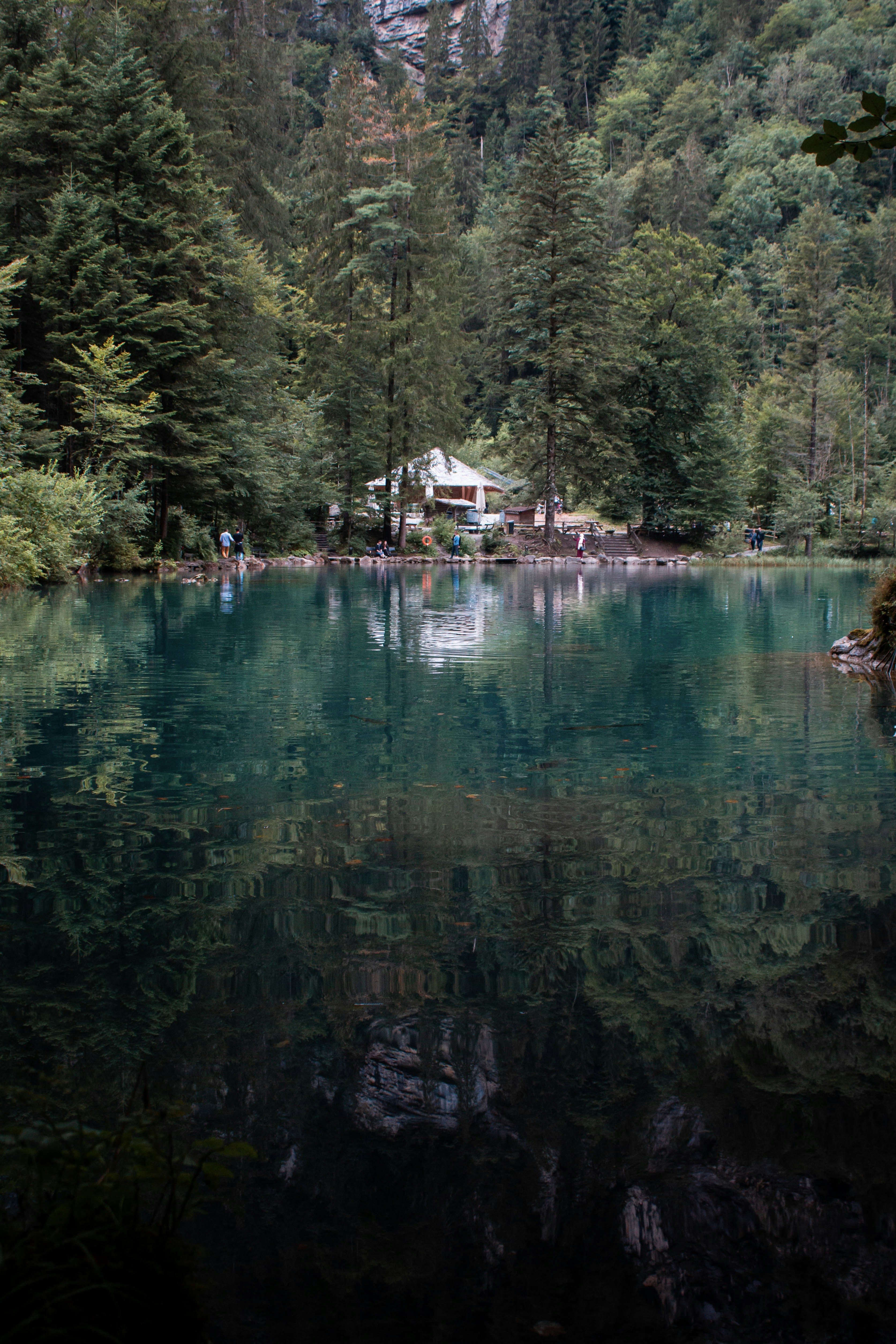 A tranquil lake surrounded by lush greenery, with a charming cabin nestled among the trees. The water mirrors the landscape perfectly.