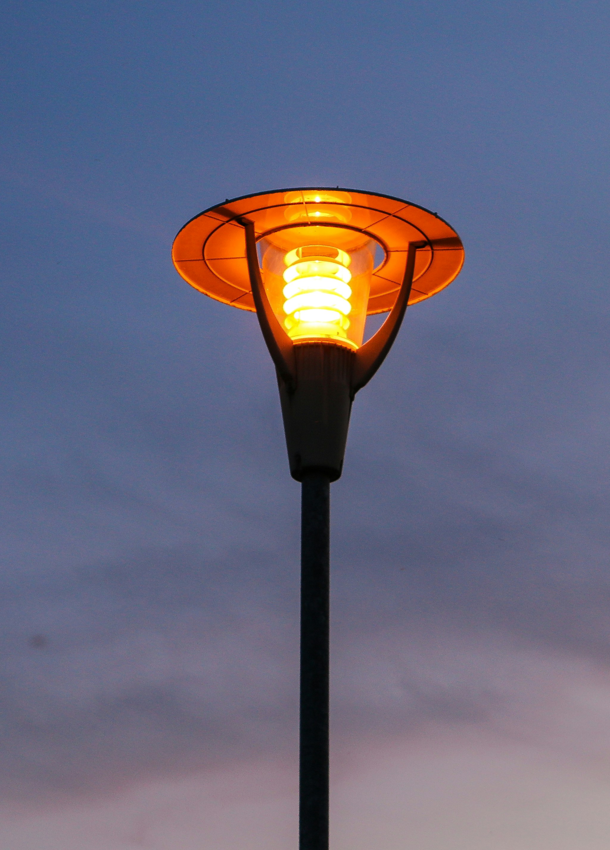 Auric Twilight: A Lone Streetlamp Basking in Quiet Dusk