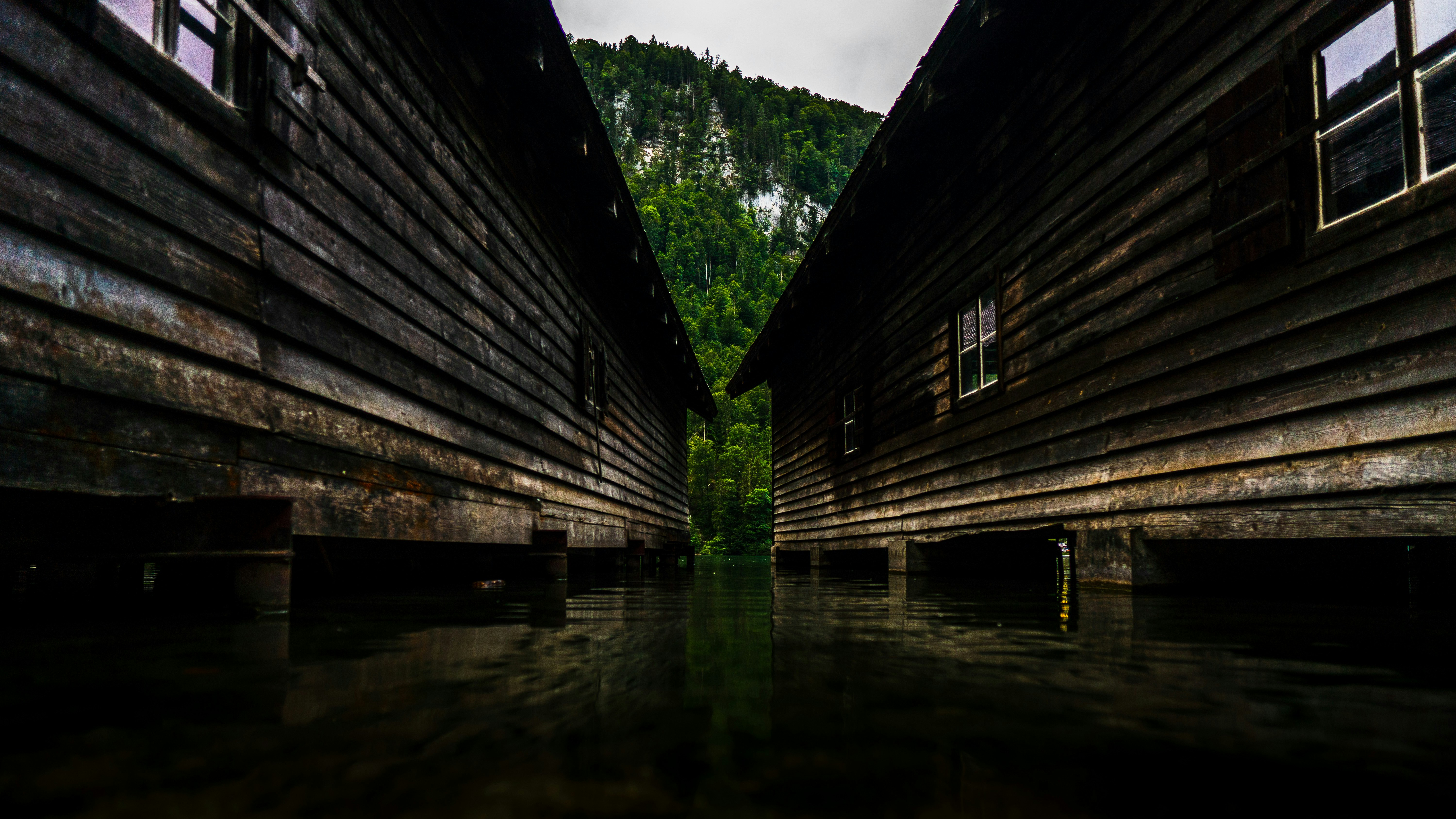 Between the Timbers: A Serene Passage