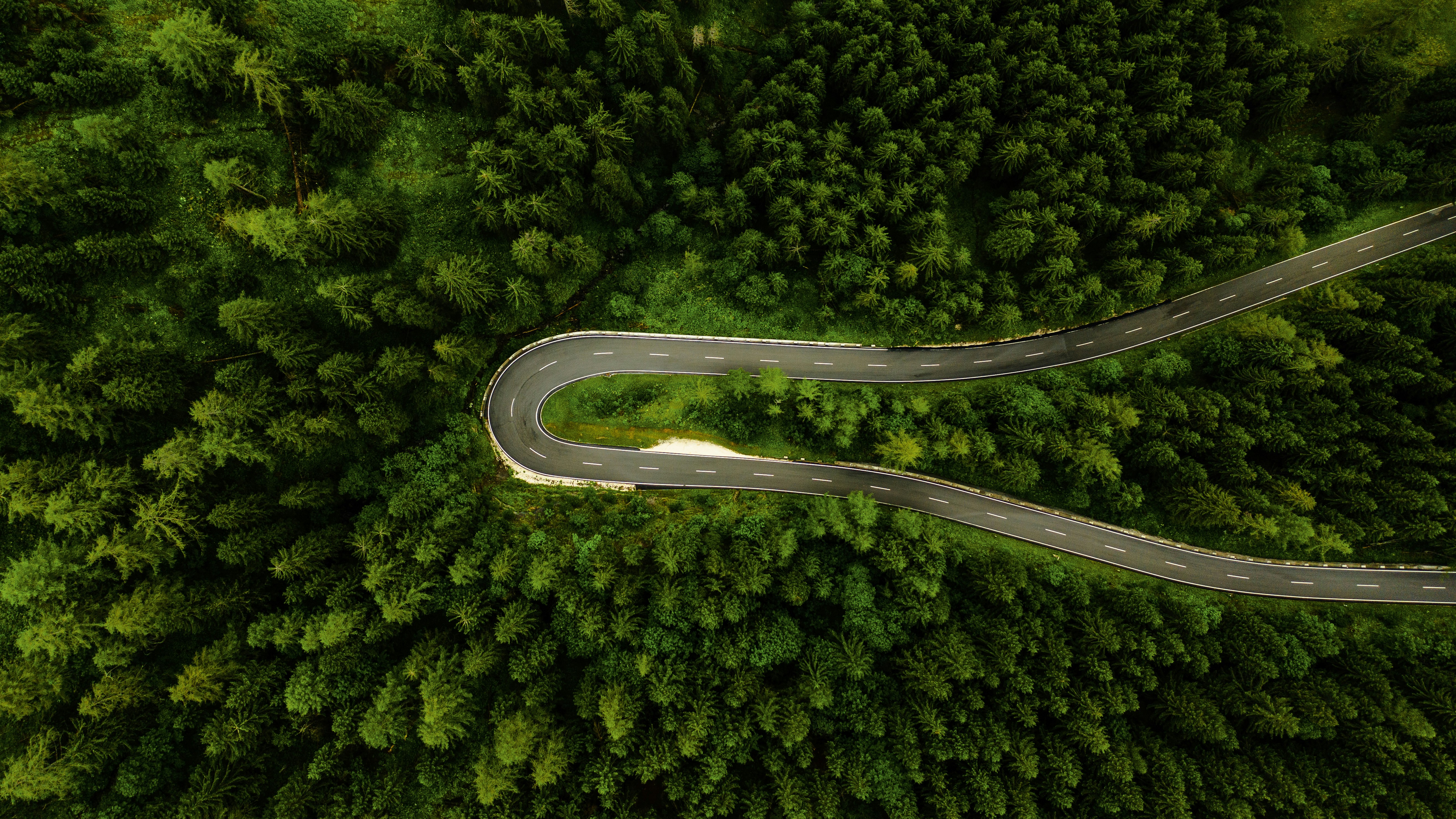 Aerial view of a curving road weaving through a dense green forest.