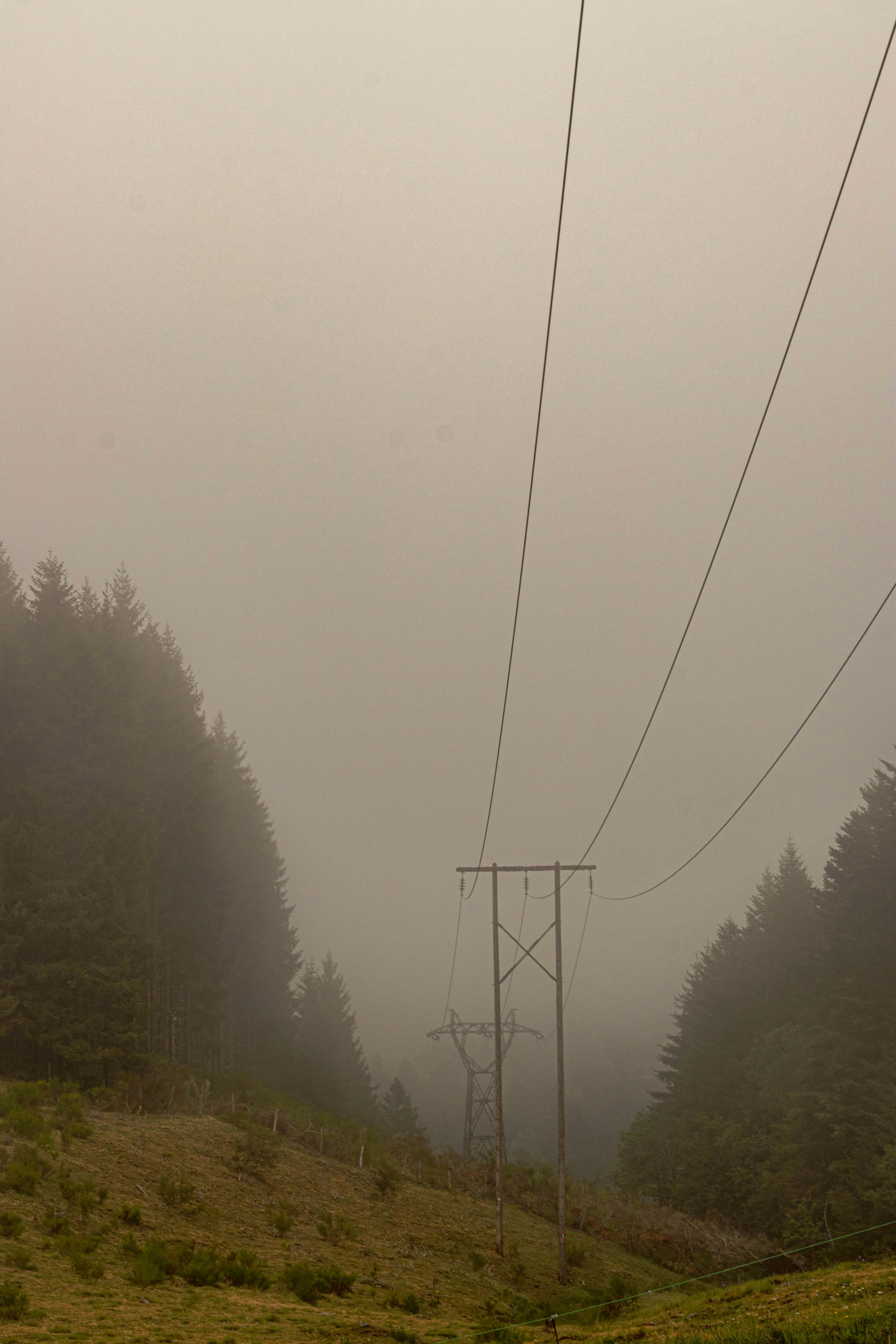 A couple of power lines on a foggy day photo – Free Fog Image on Unsplash