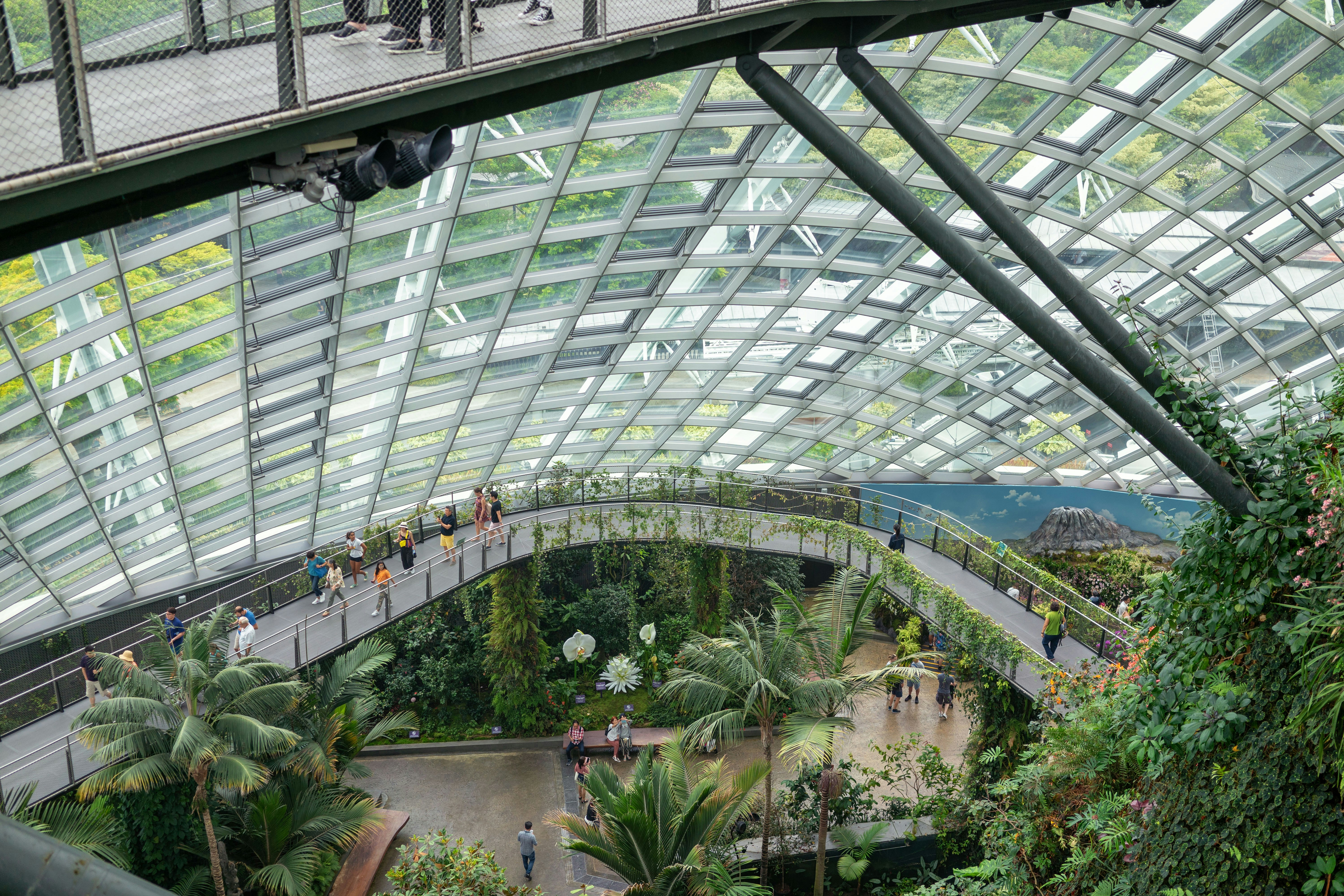 Visitors traverse a winding pathway beneath a striking glass dome, surrounded by lush greenery and vibrant plant life.