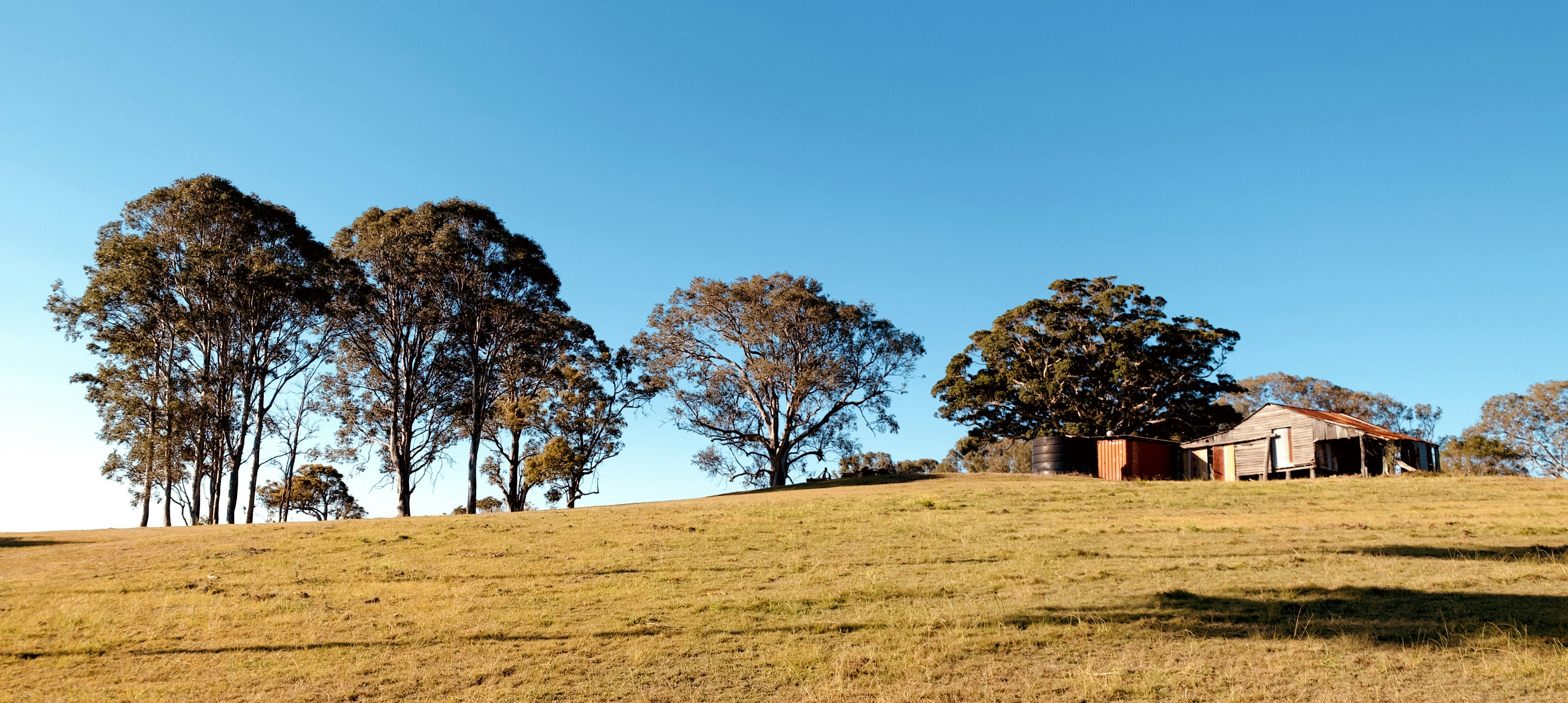House near green field surrounded with trees photo – Free Plant Image ...