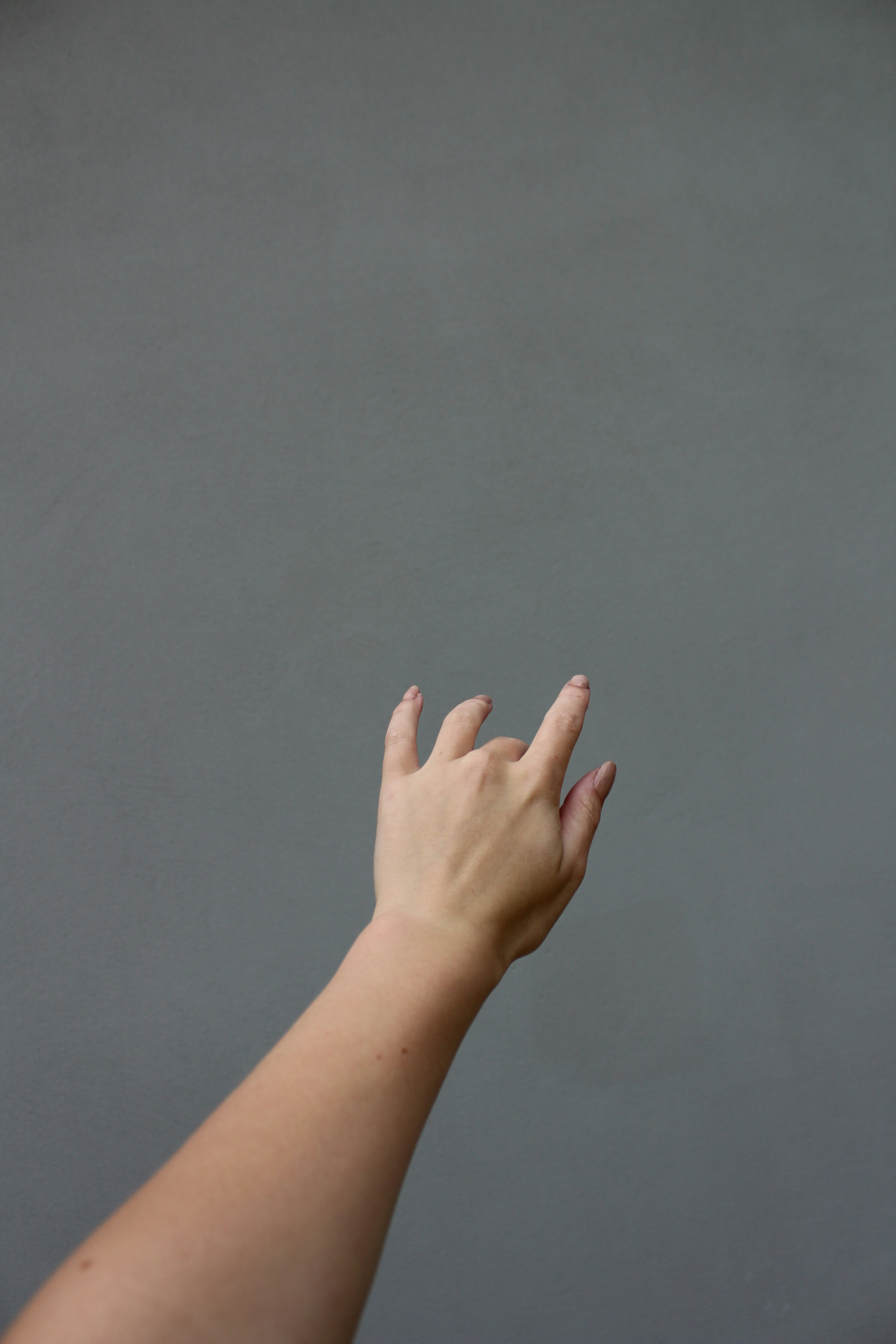left human hand photo – Free Human Image on Unsplash
