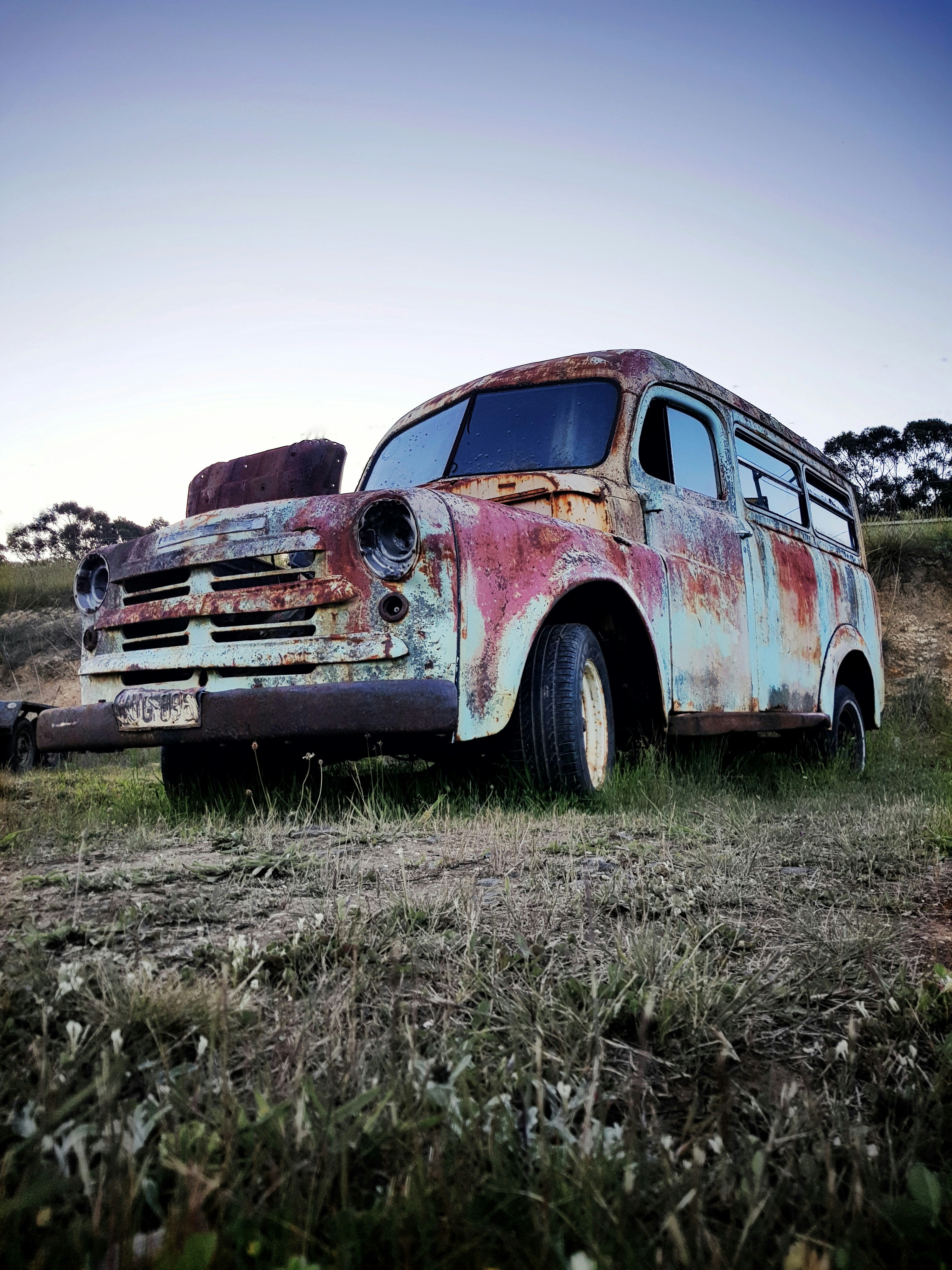 An old, derelict, rusty vehicle in grass that was originally turquoise but is now covered with pink-red rust.