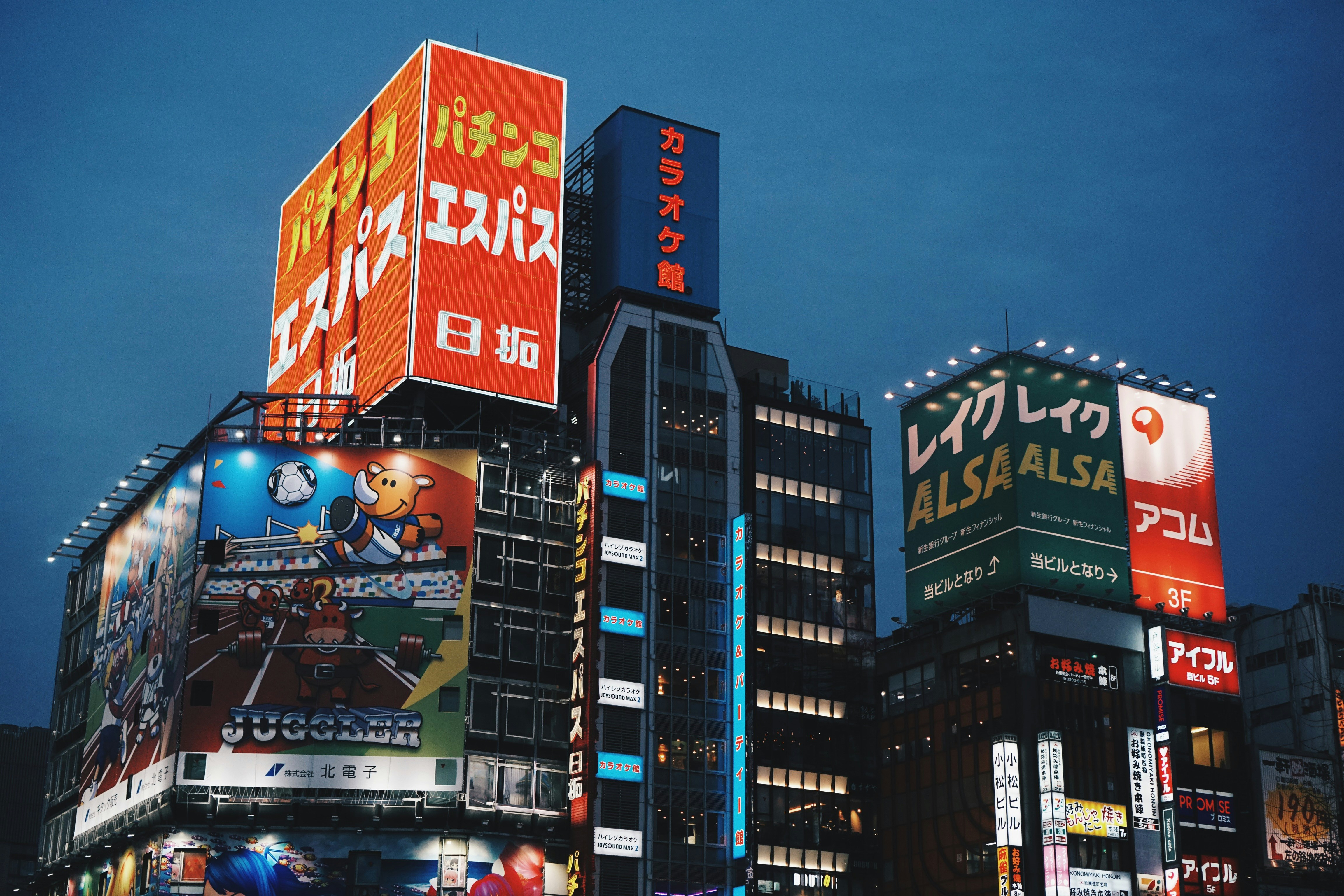Kabukicho Japan building during nighttime photo – Free Building Image ...