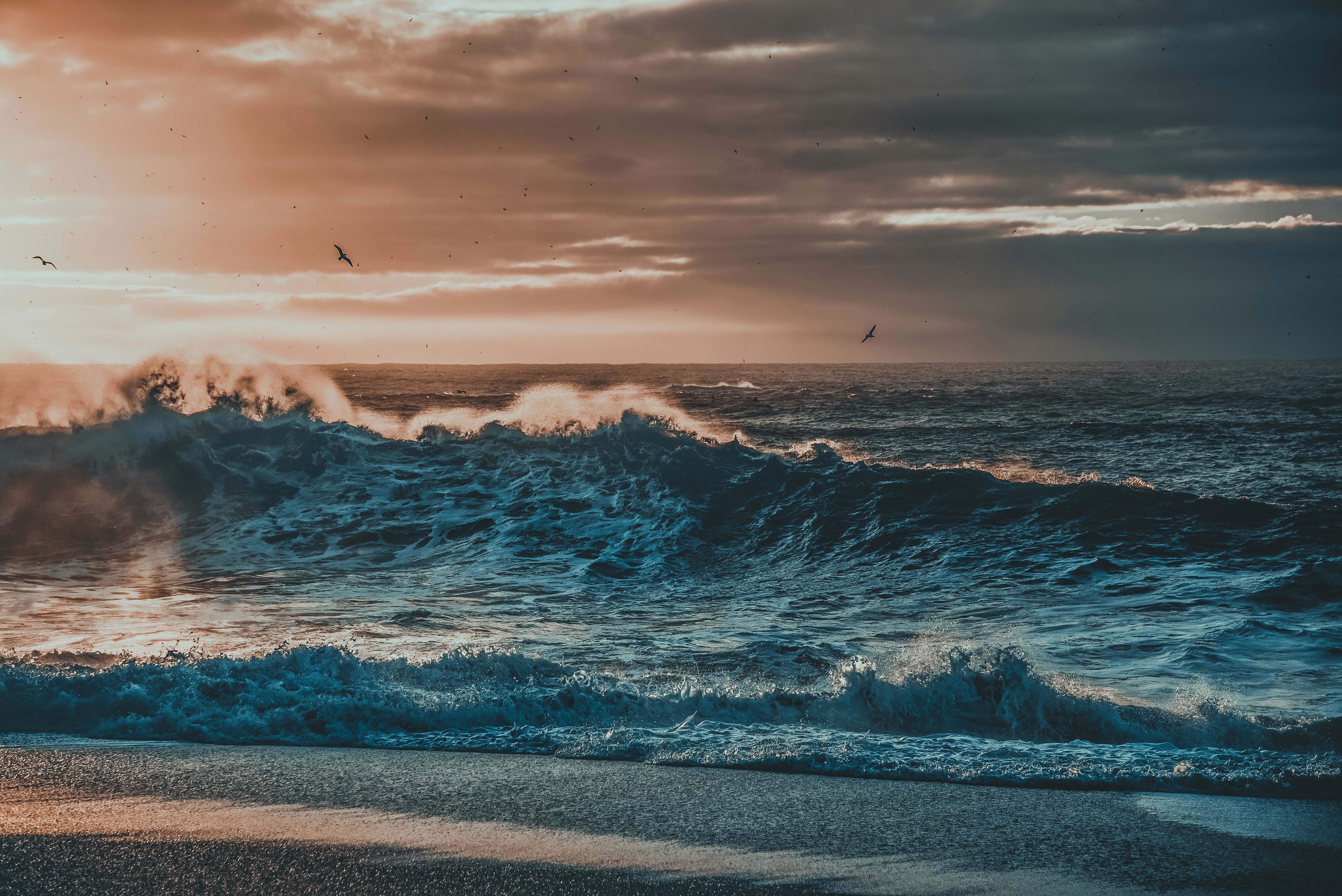 Sea Waves Pictures | Download Free Images on Unsplash