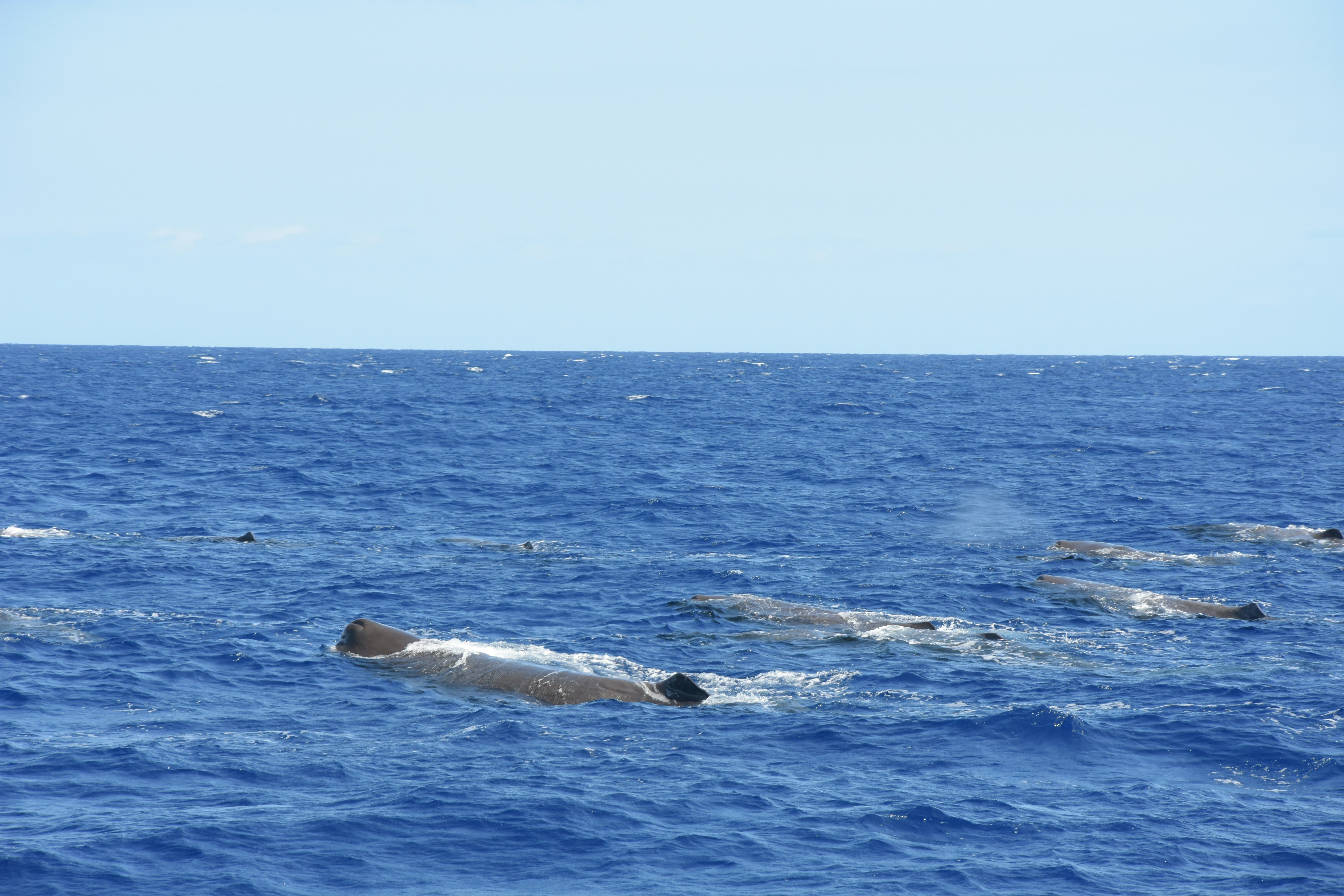 750+ Wal Pictures | Download Free Images on Unsplash