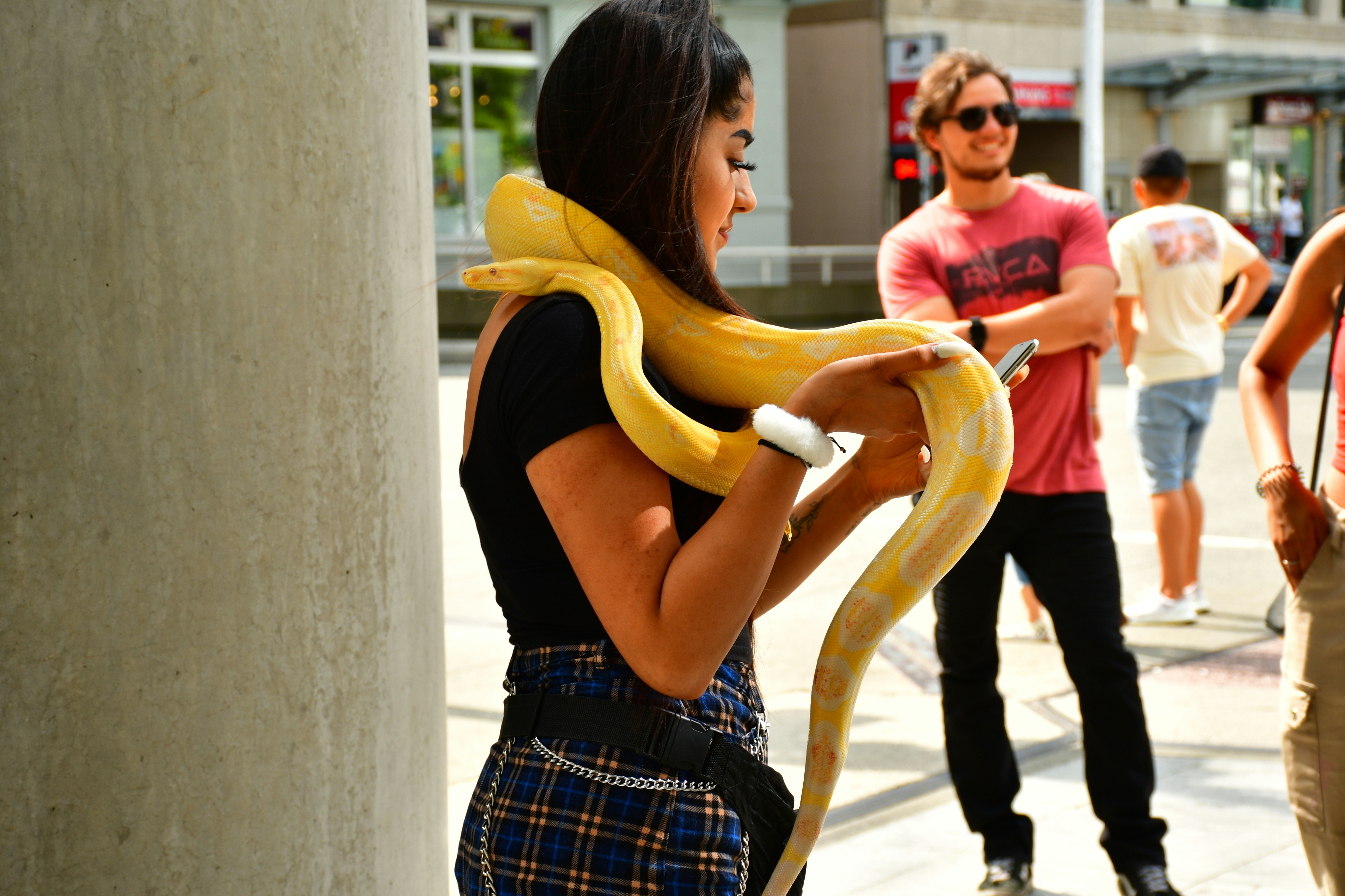Woman carrying yellow snake photo – Free Human Image on Unsplash
