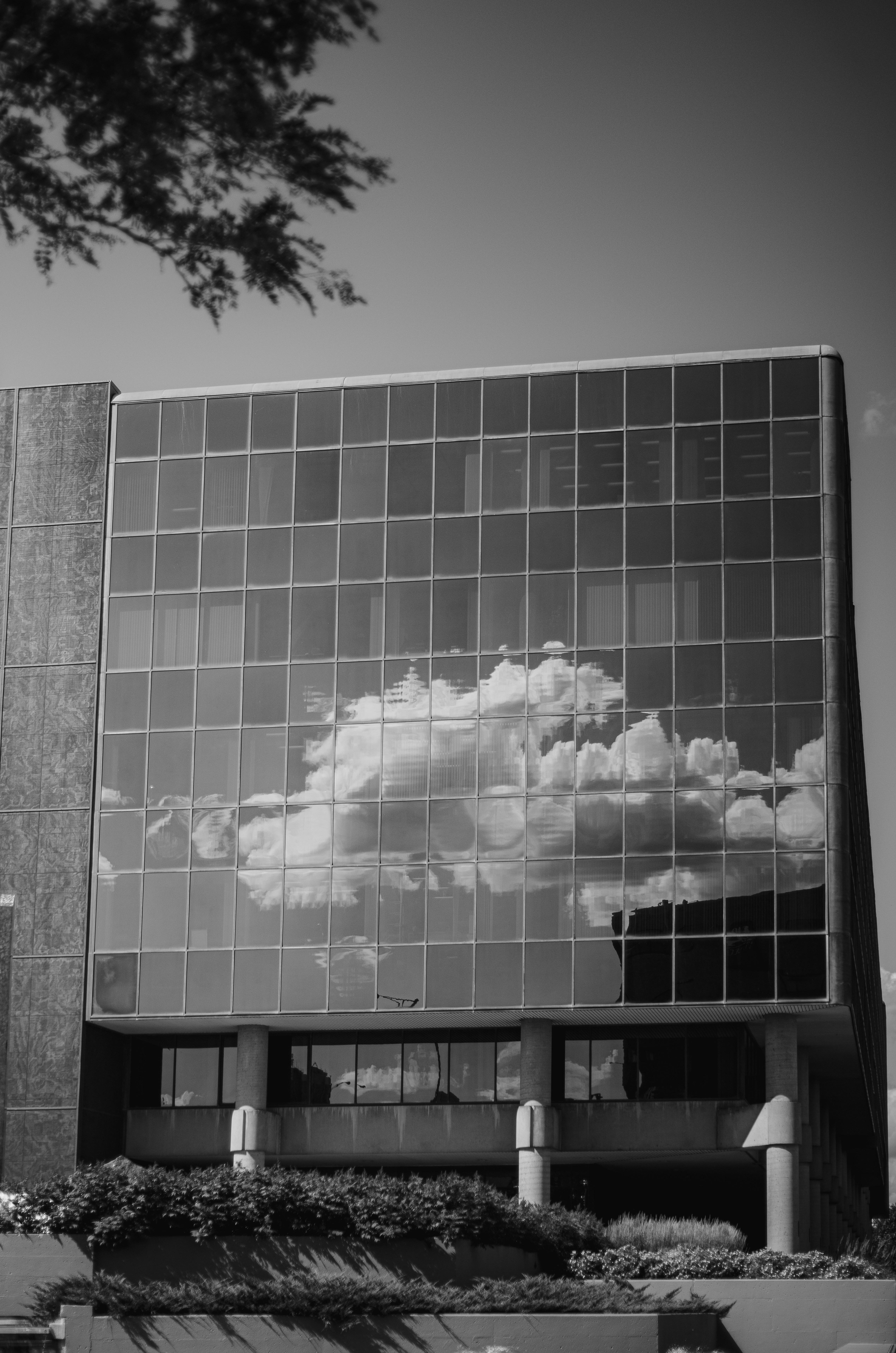 Sky-Grid Reflections on a Glass Facade