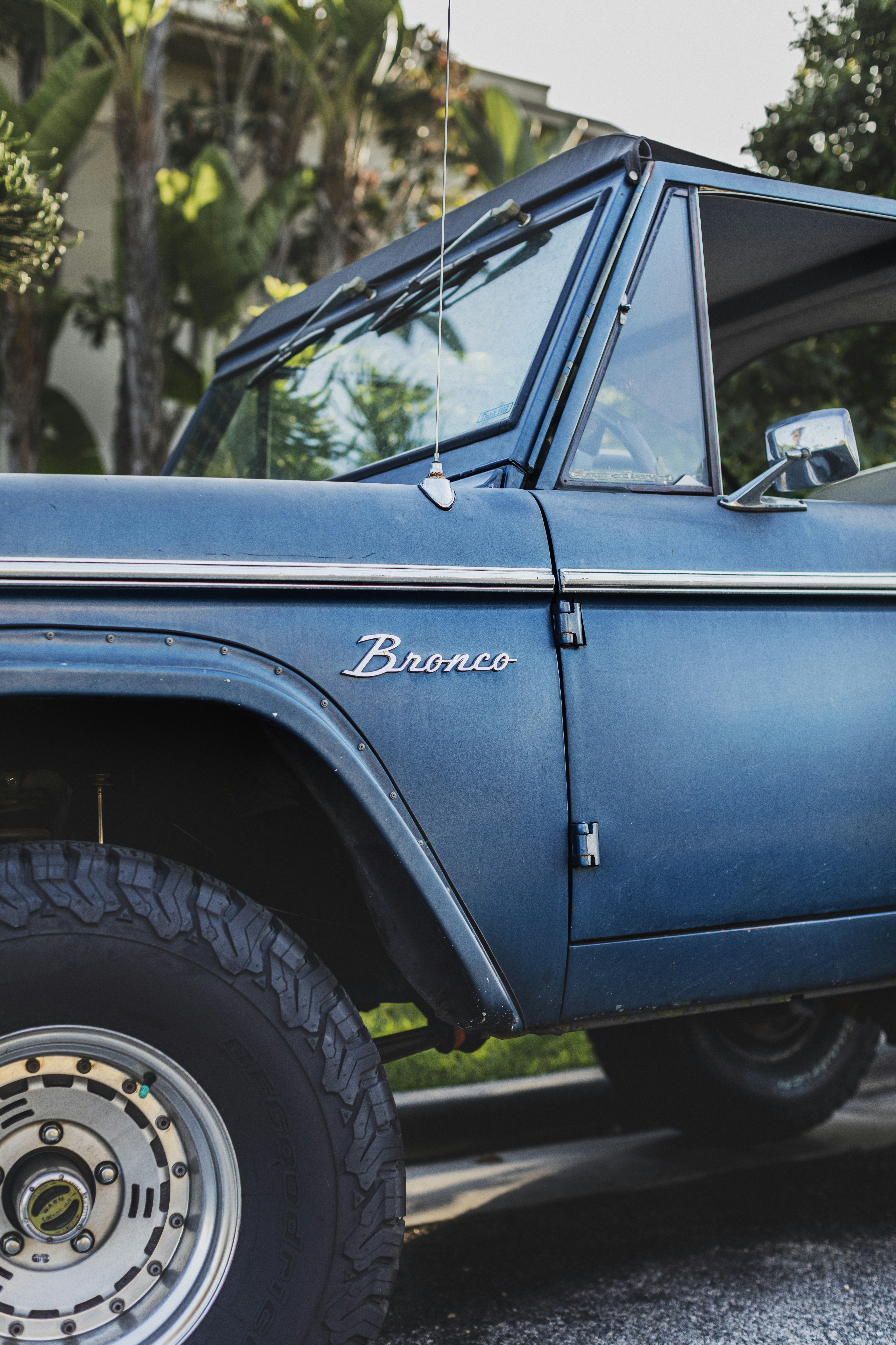Classic blue Ford Bronco parked under palm trees, showcasing its vintage design and rugged charm.