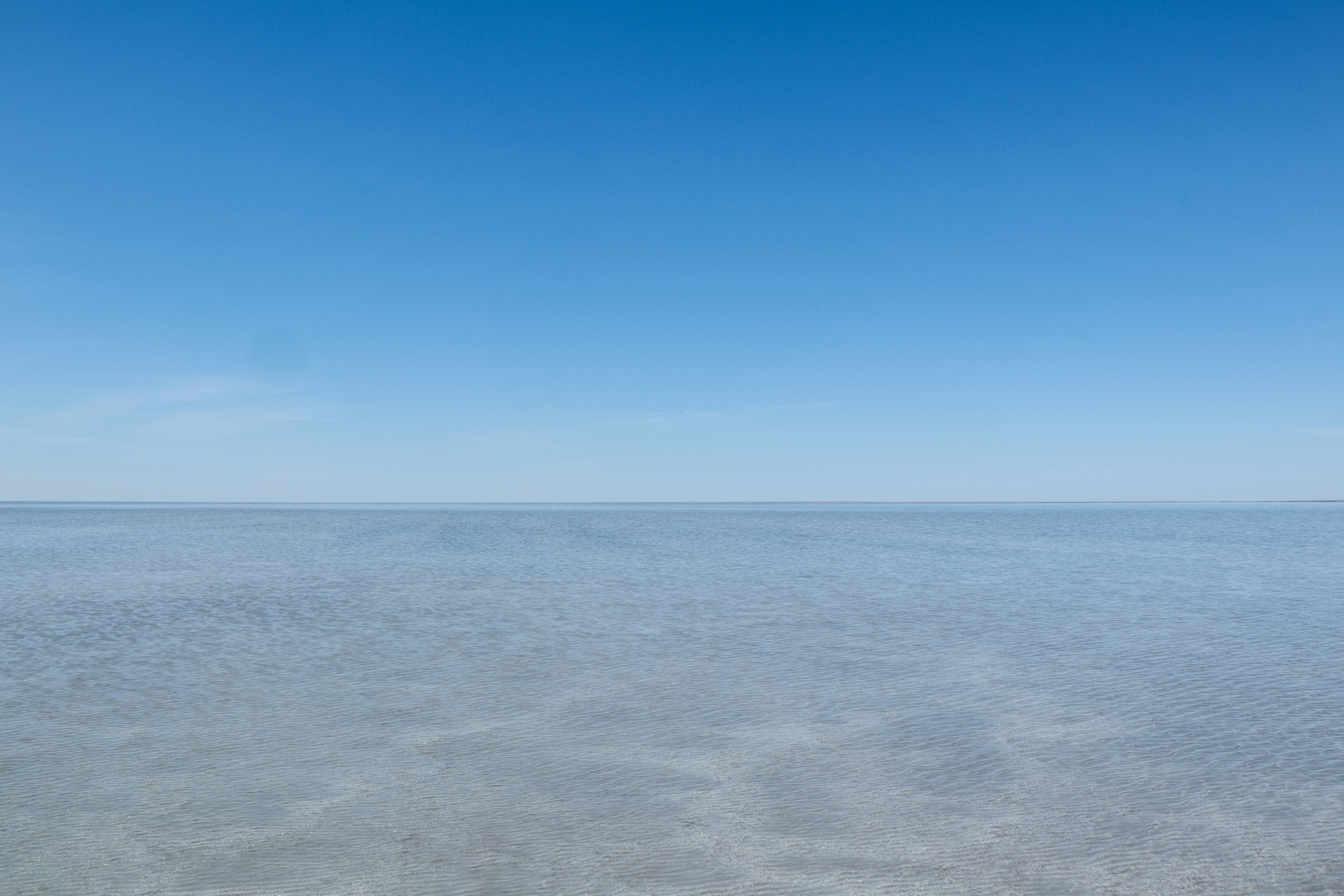 Définition de salin | Dictionnaire français | La langue française