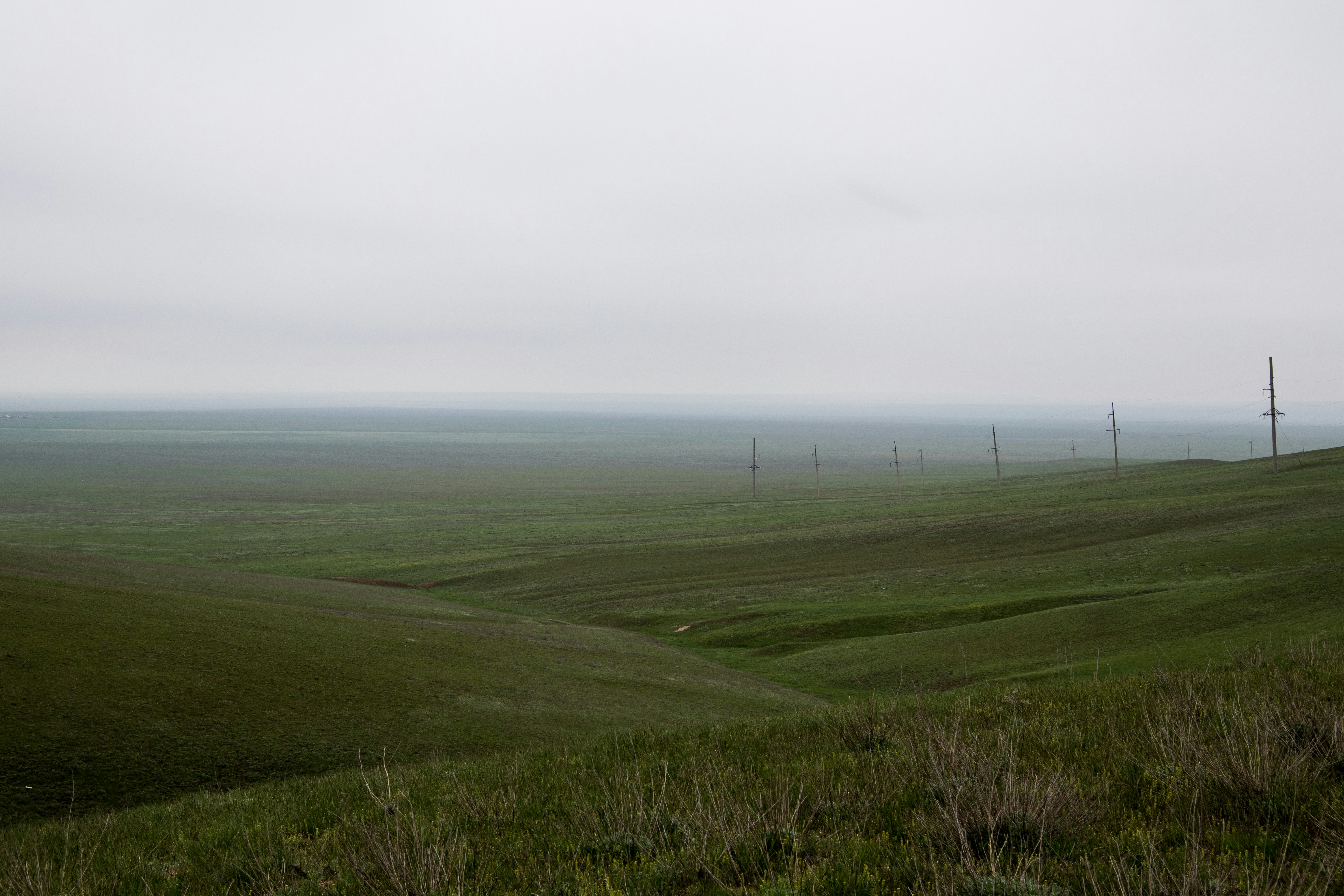 Définition de steppe | Dictionnaire français