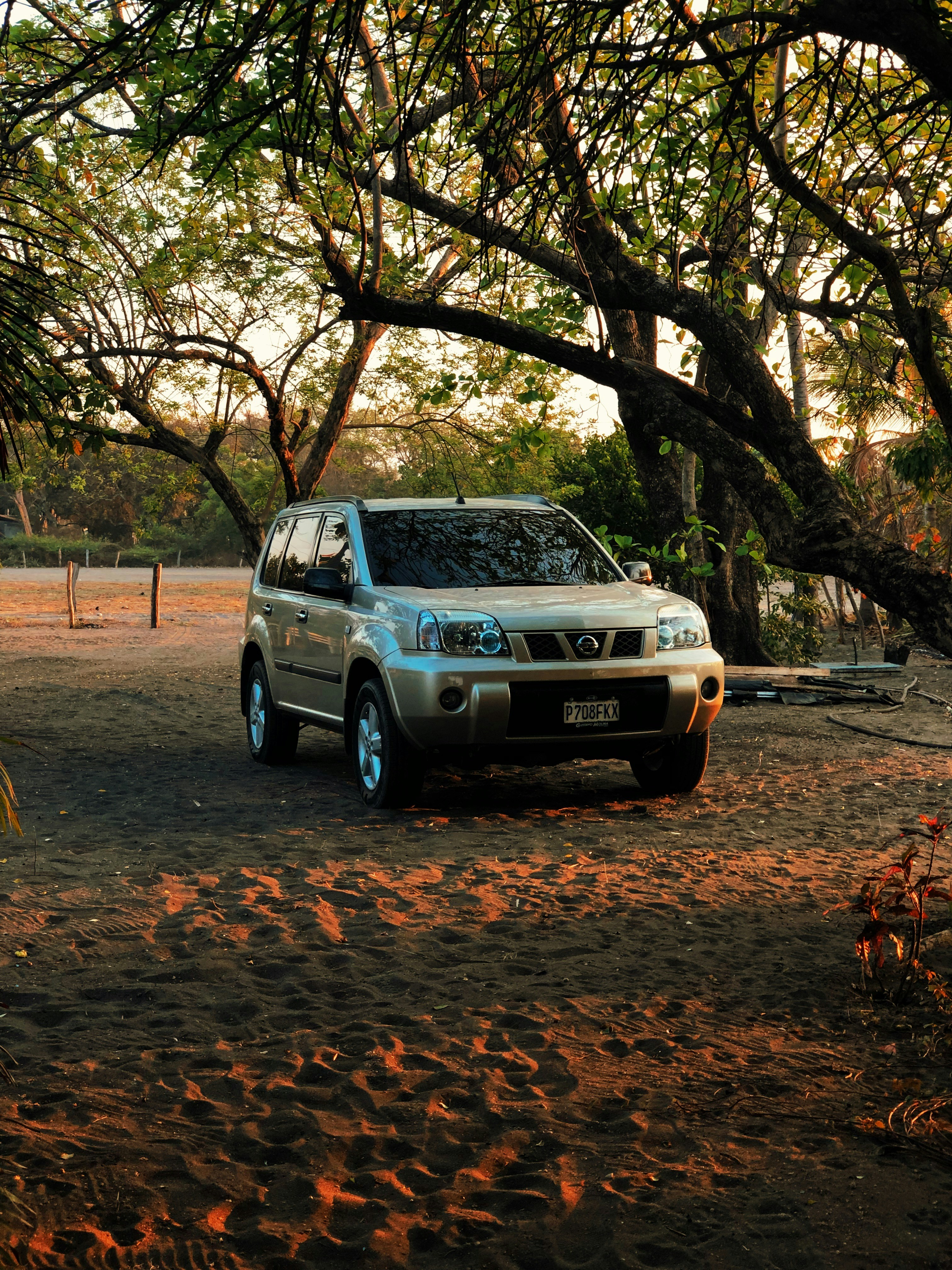 SUV parked under sprawling trees in a sunlit, earthy landscape.