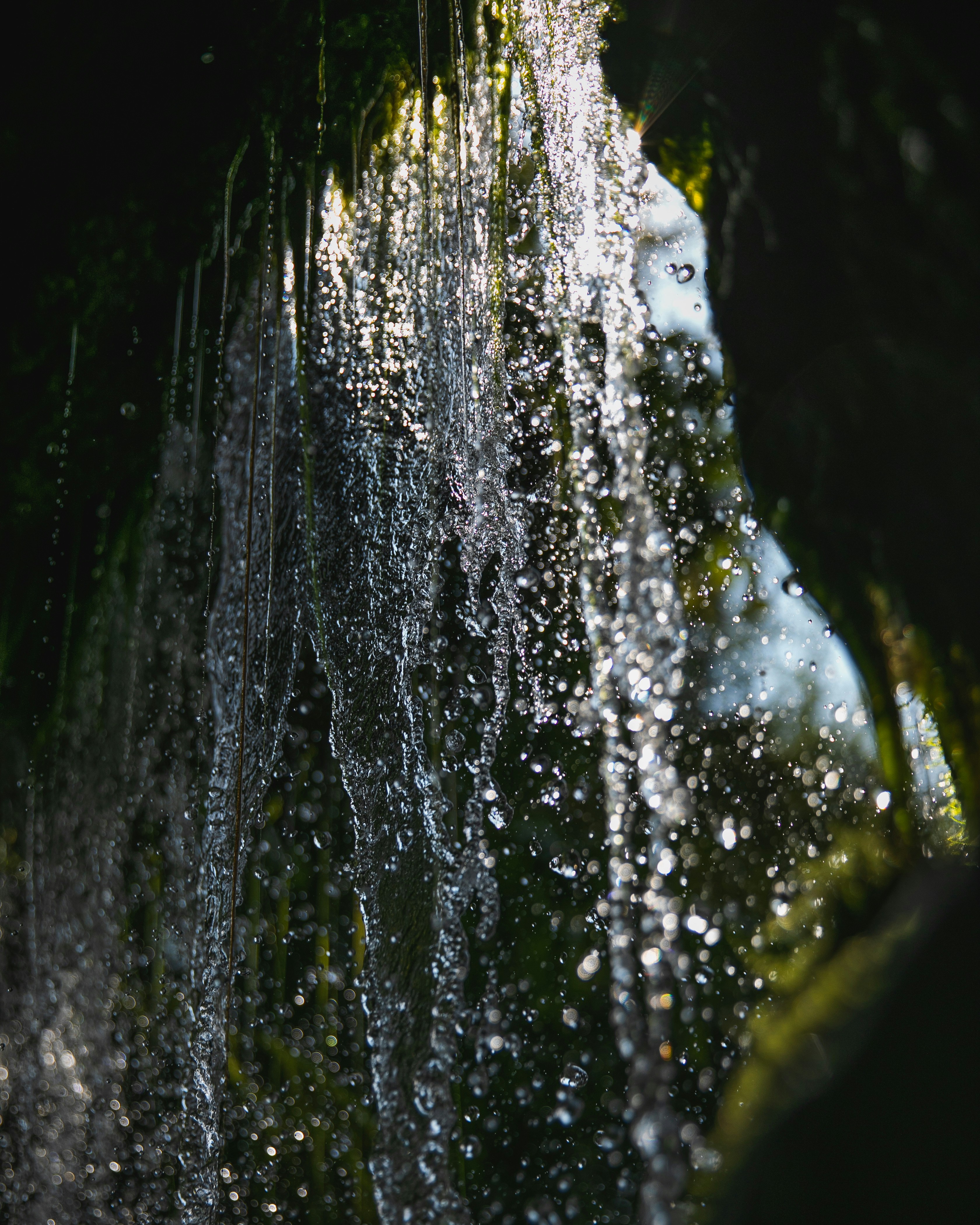 Water droplets cascading down from a moss-covered rock face, illuminated by soft sunlight filtering through the trees.