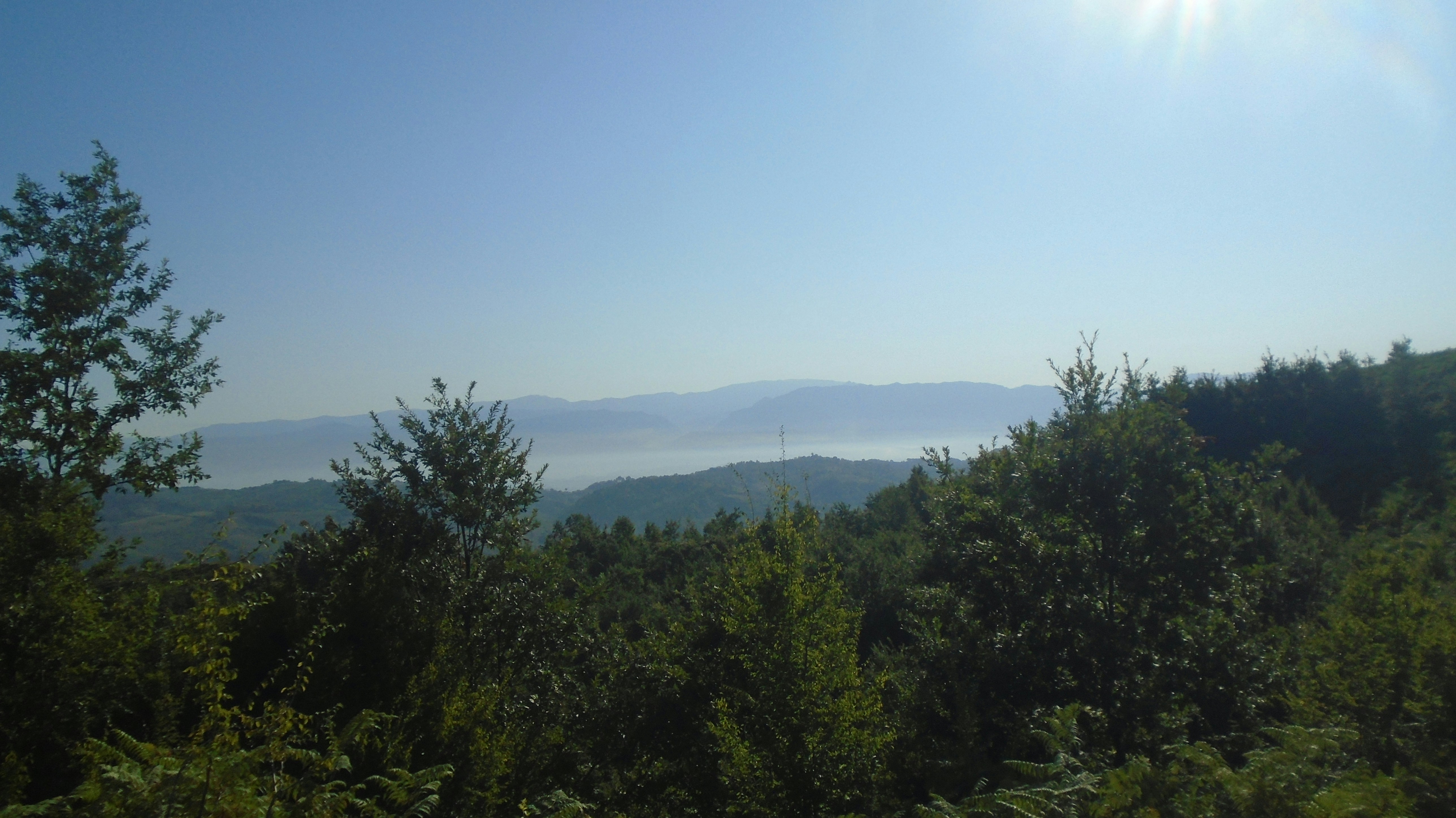 Lush green foliage frames a serene landscape, where rolling hills fade into a misty horizon under a clear blue sky.