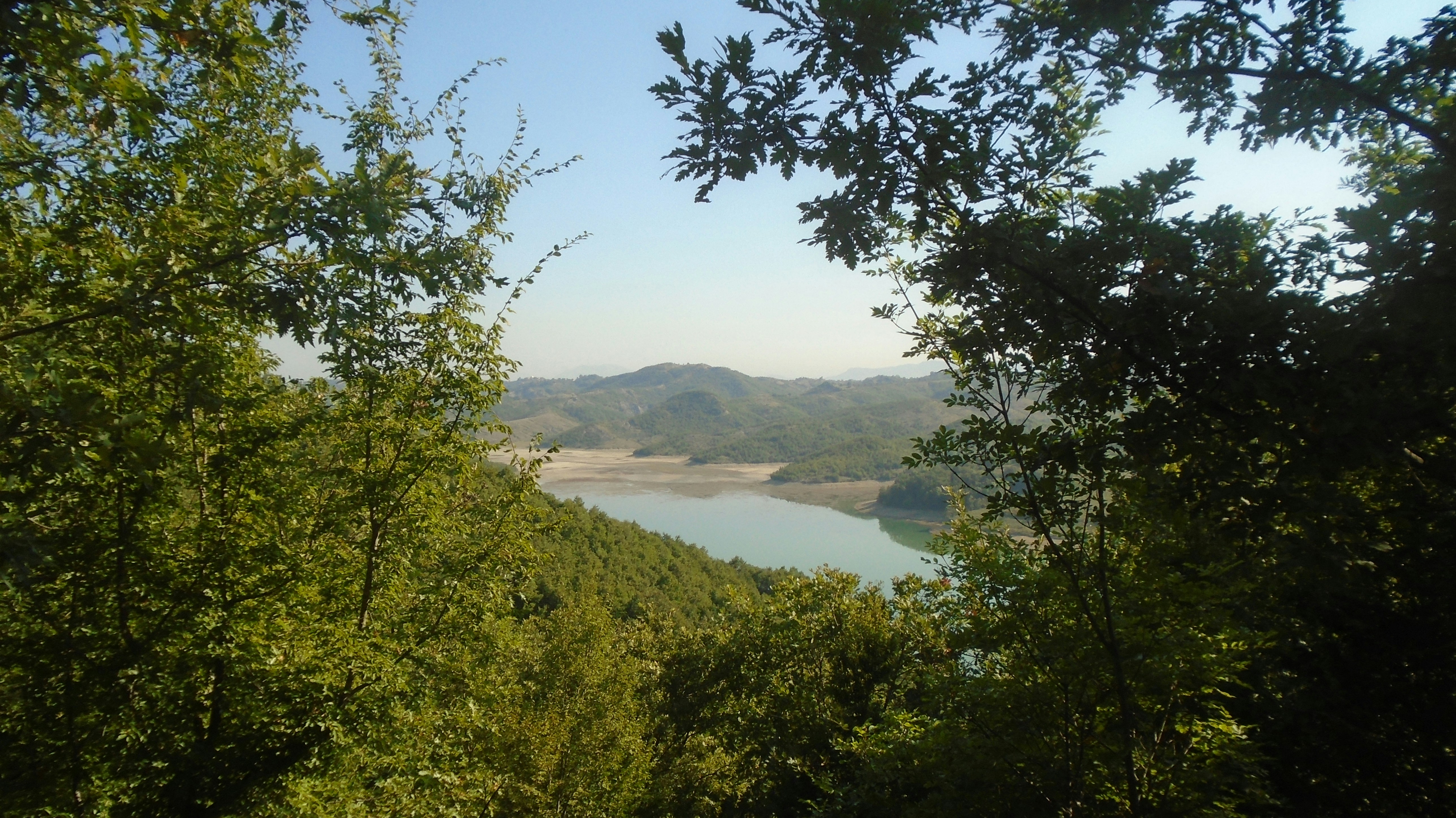 Lush green foliage encircles a tranquil lake, revealing rolling hills in the distance. A peaceful landscape captured through a natural frame of trees.