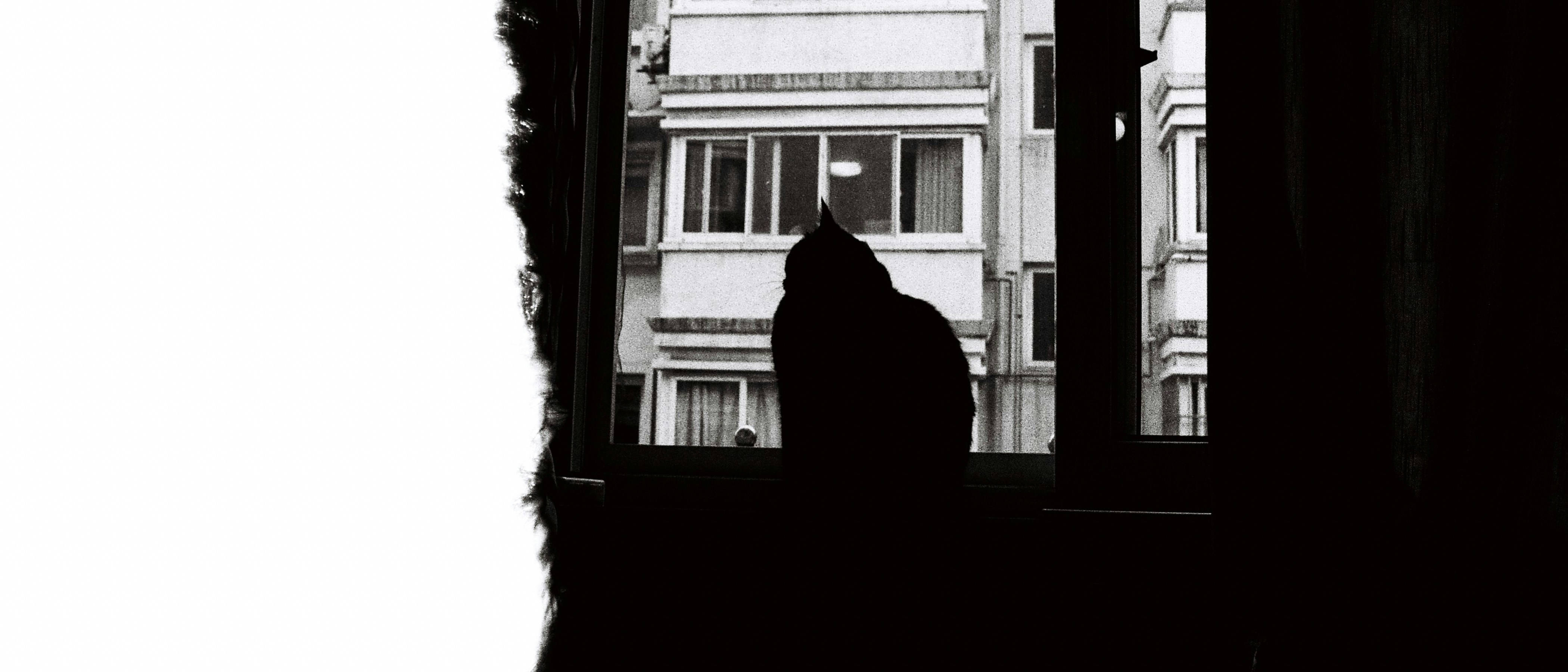person sitting in front of window panel