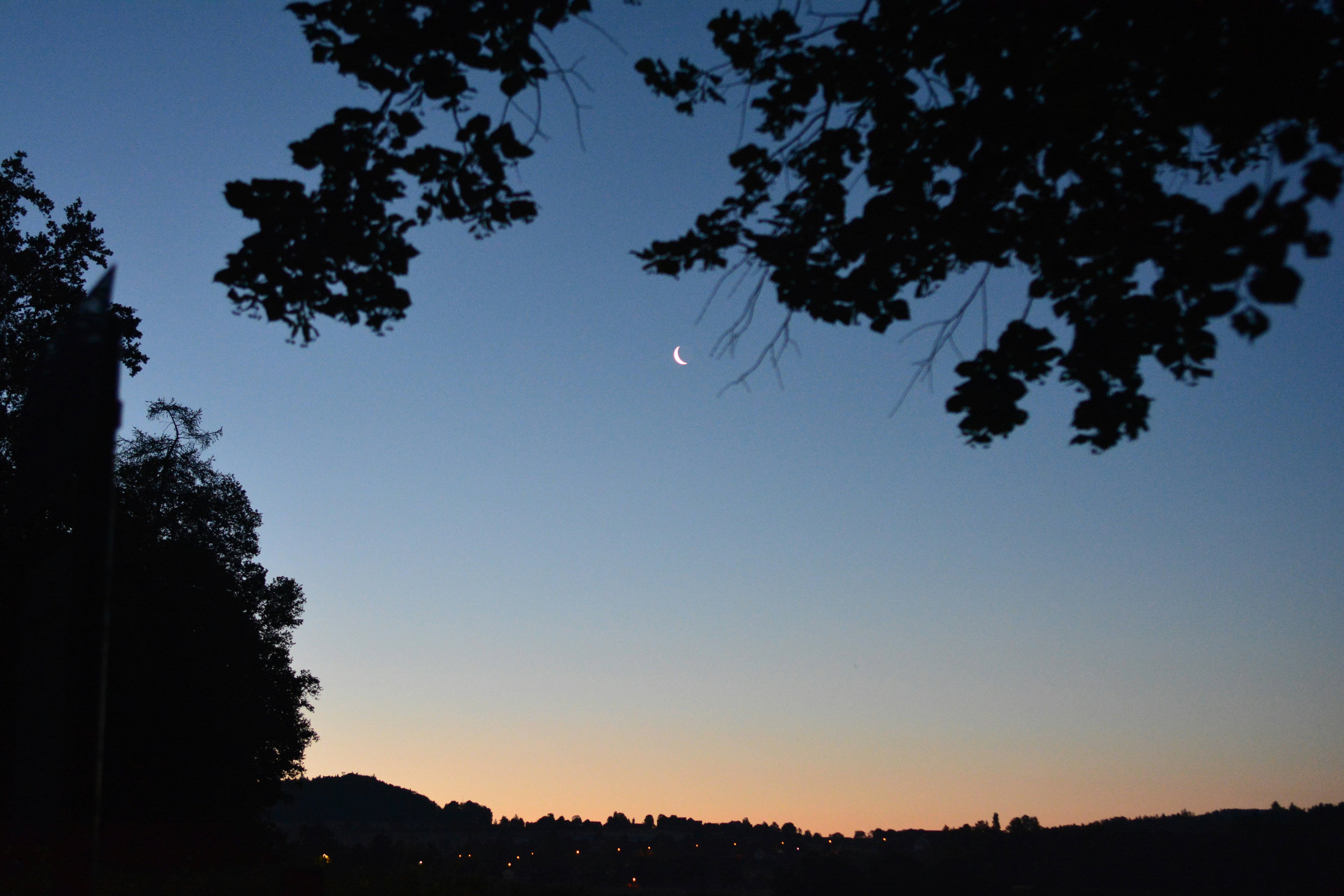 A crescent moon hangs delicately in the twilight sky, framed by silhouetted branches and a fading horizon. The serene scene captures the transition from day to night.