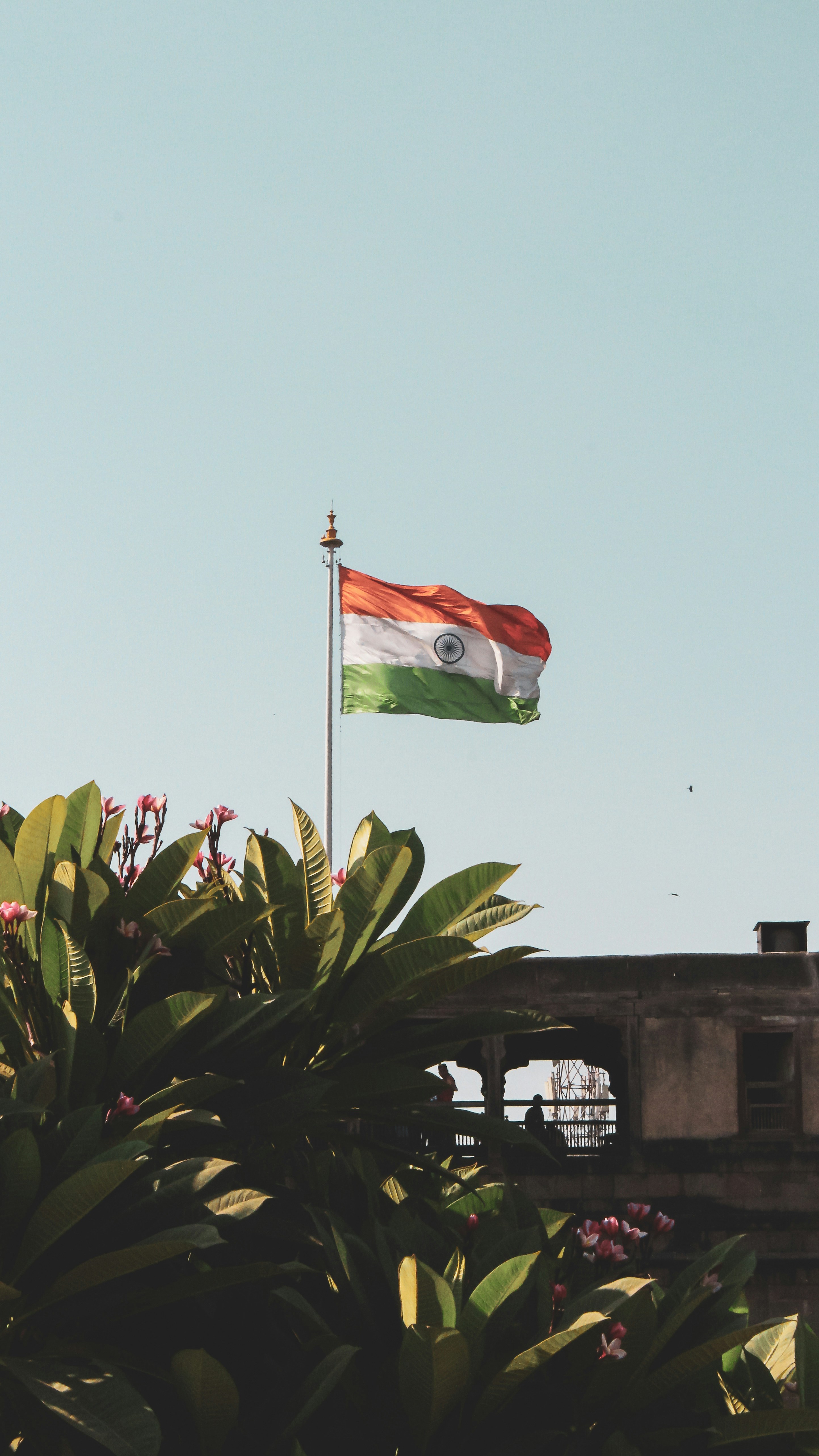 Indian flag waving near building photo – Free Shaniwar wada Image on ...