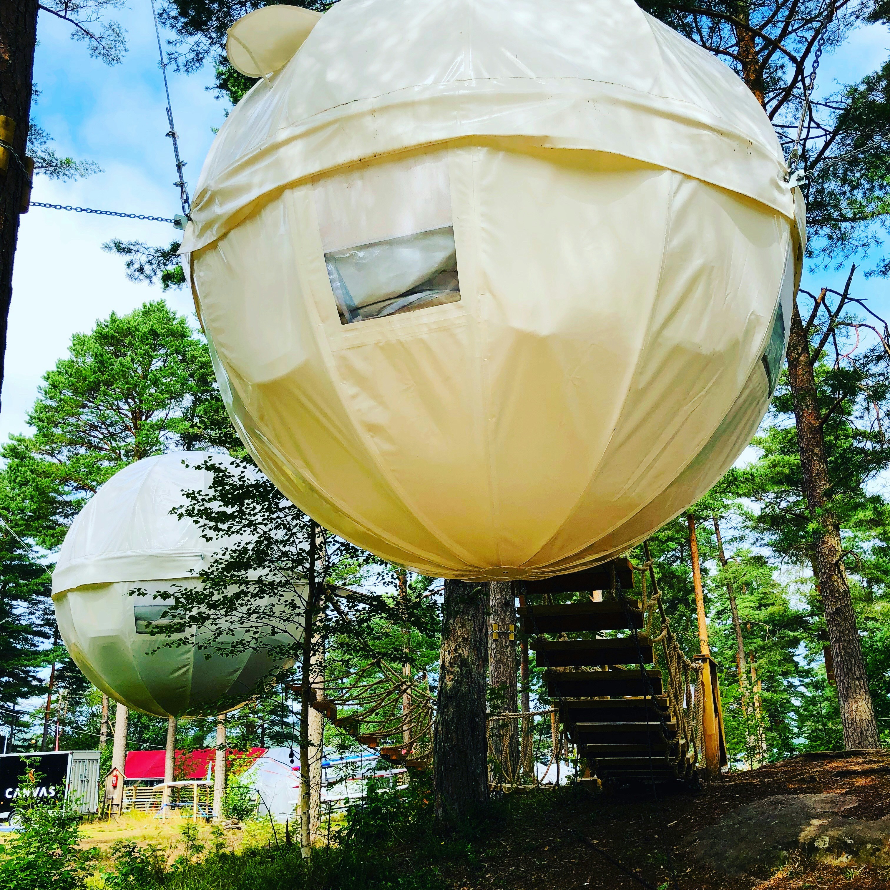 Yellow and brown tree house photo – Free Arendal Image on Unsplash