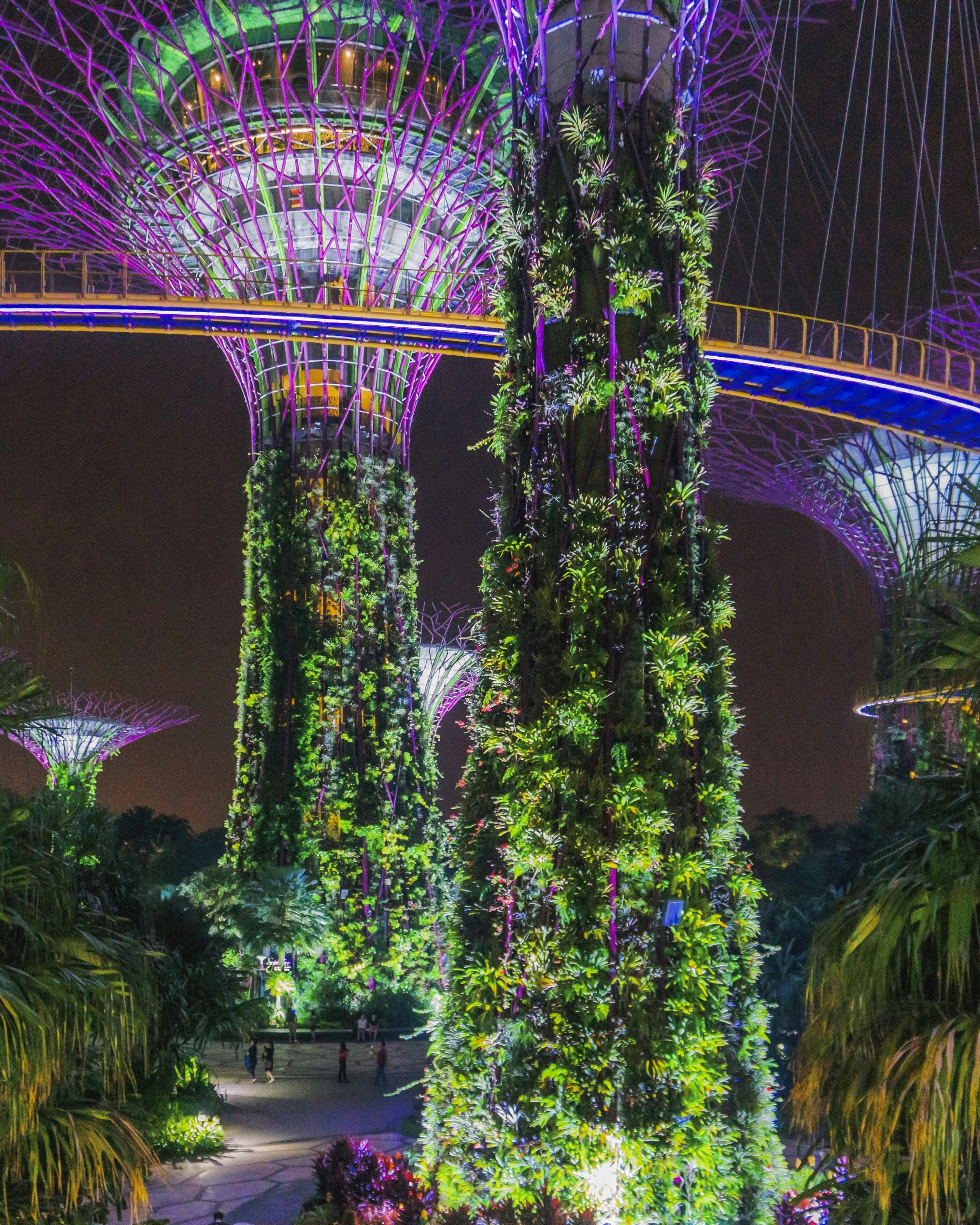 Neon Canopies: Vertical Gardens Rise Under a Night Bridge