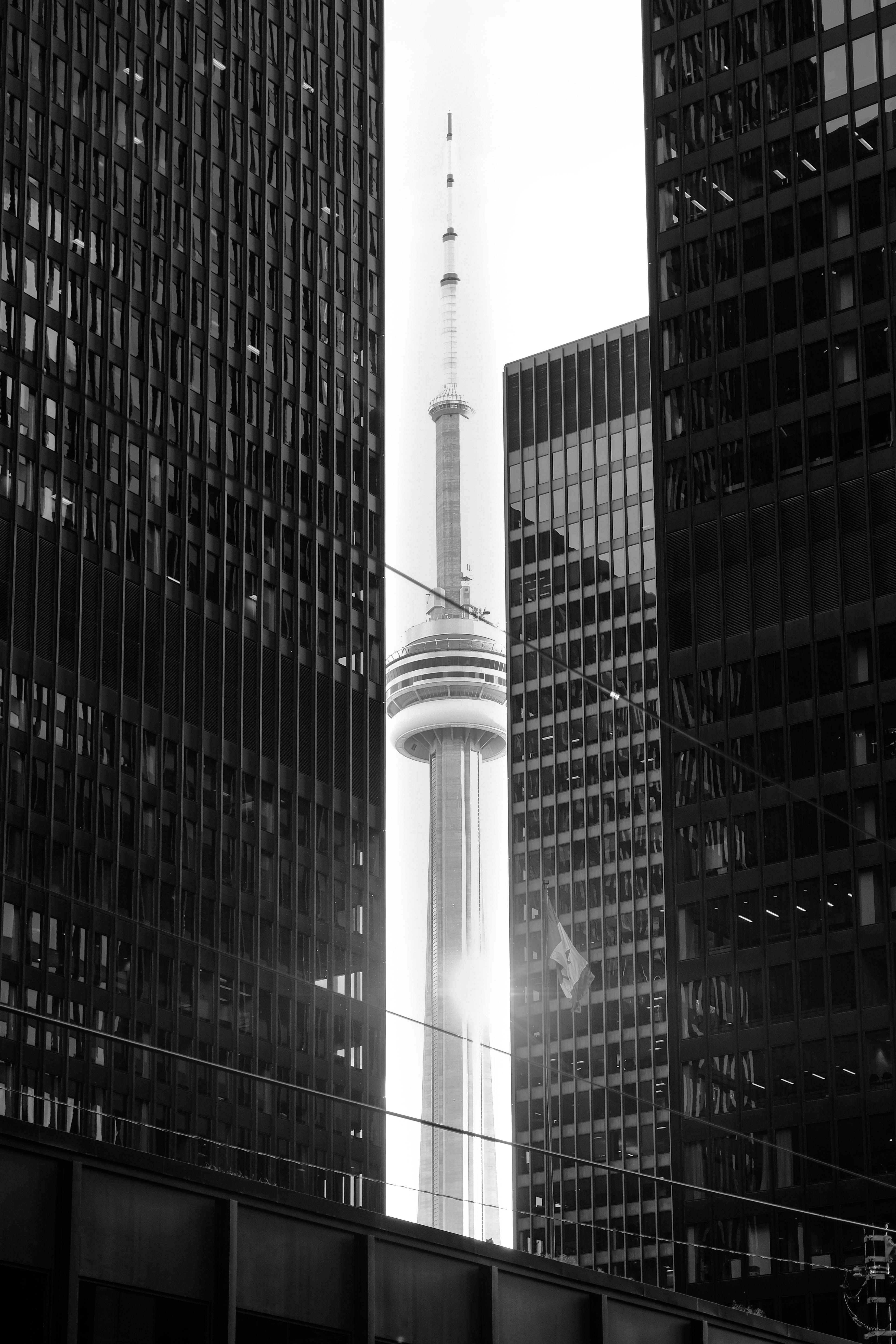 The CN Tower framed between modern skyscrapers under bright sunlight.