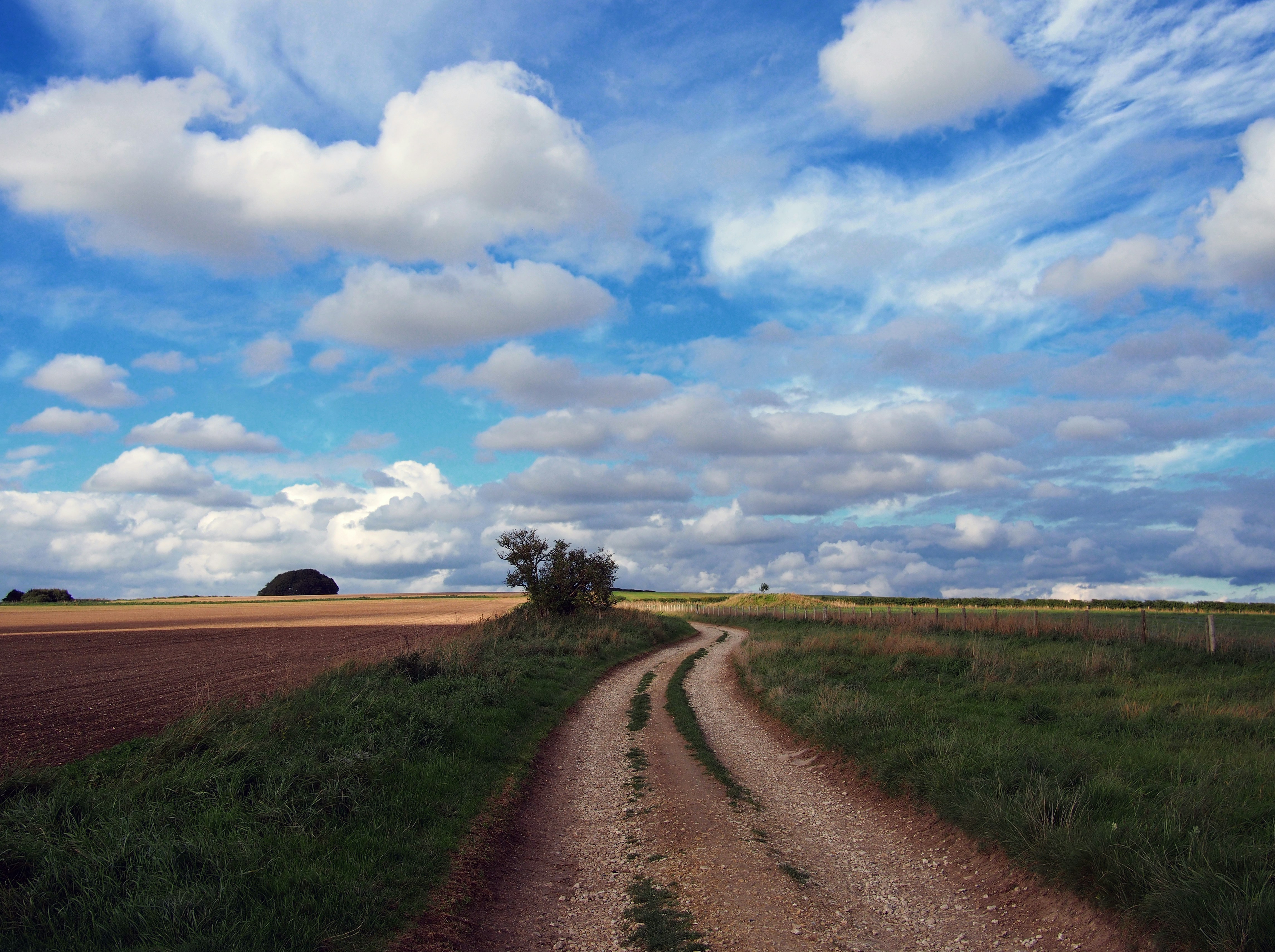 Country dirt road curving through fields under a sky filled with scattered clouds.
