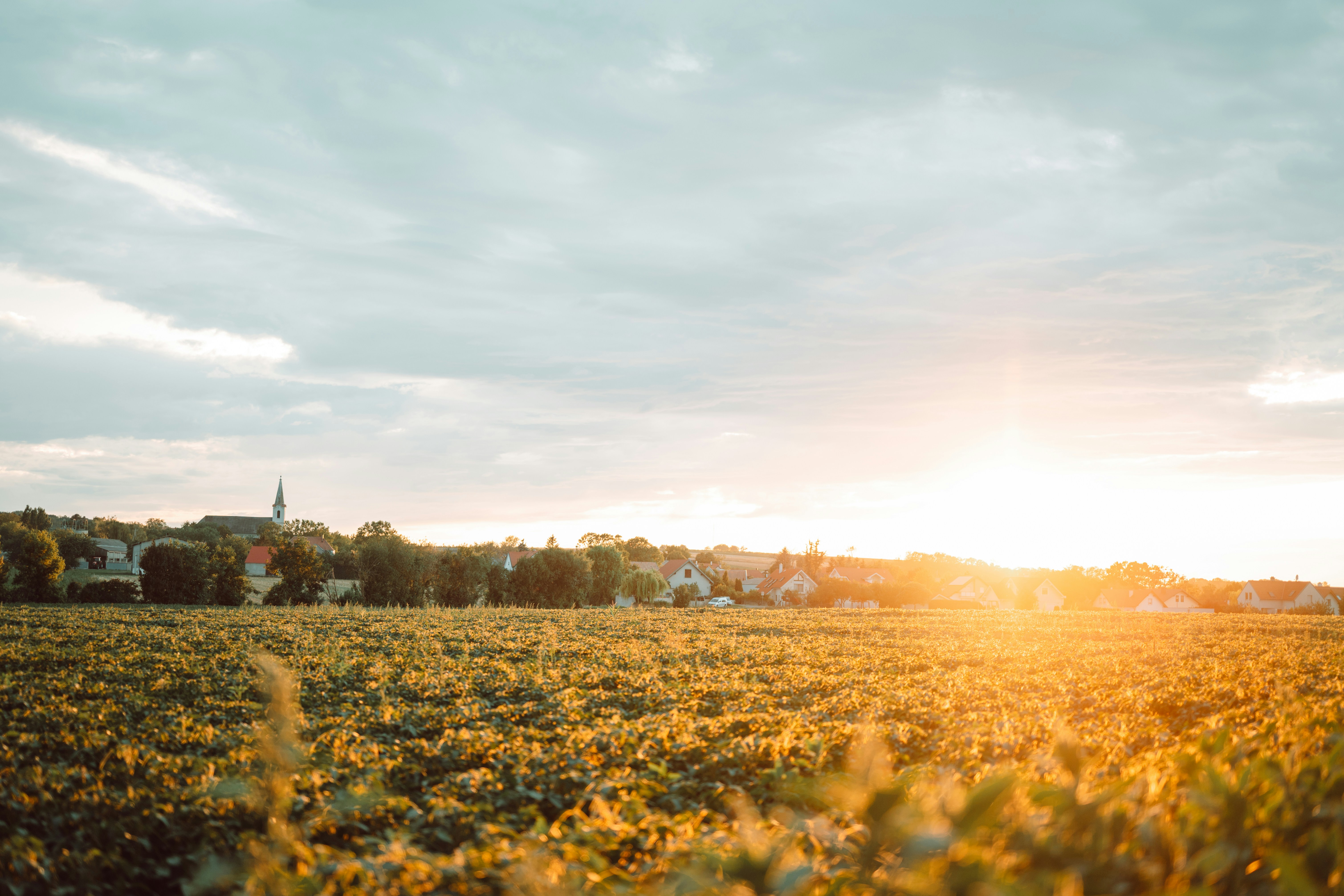 View of greenfield at the morning photo – Free Sunset Image on Unsplash