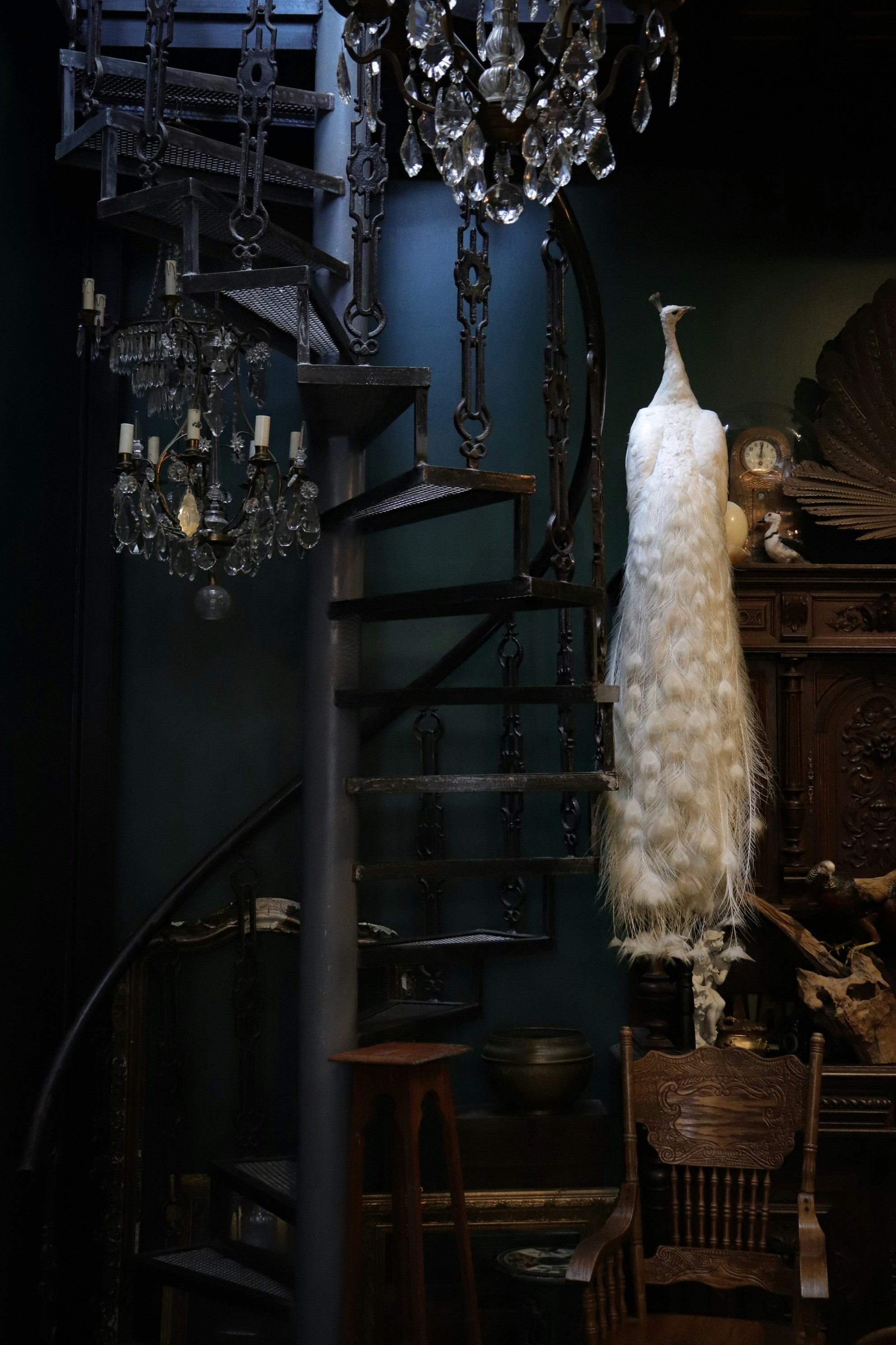 White Peacock in a Velvet-Toned Interior: Crystal Chandeliers and a Spiral Staircase