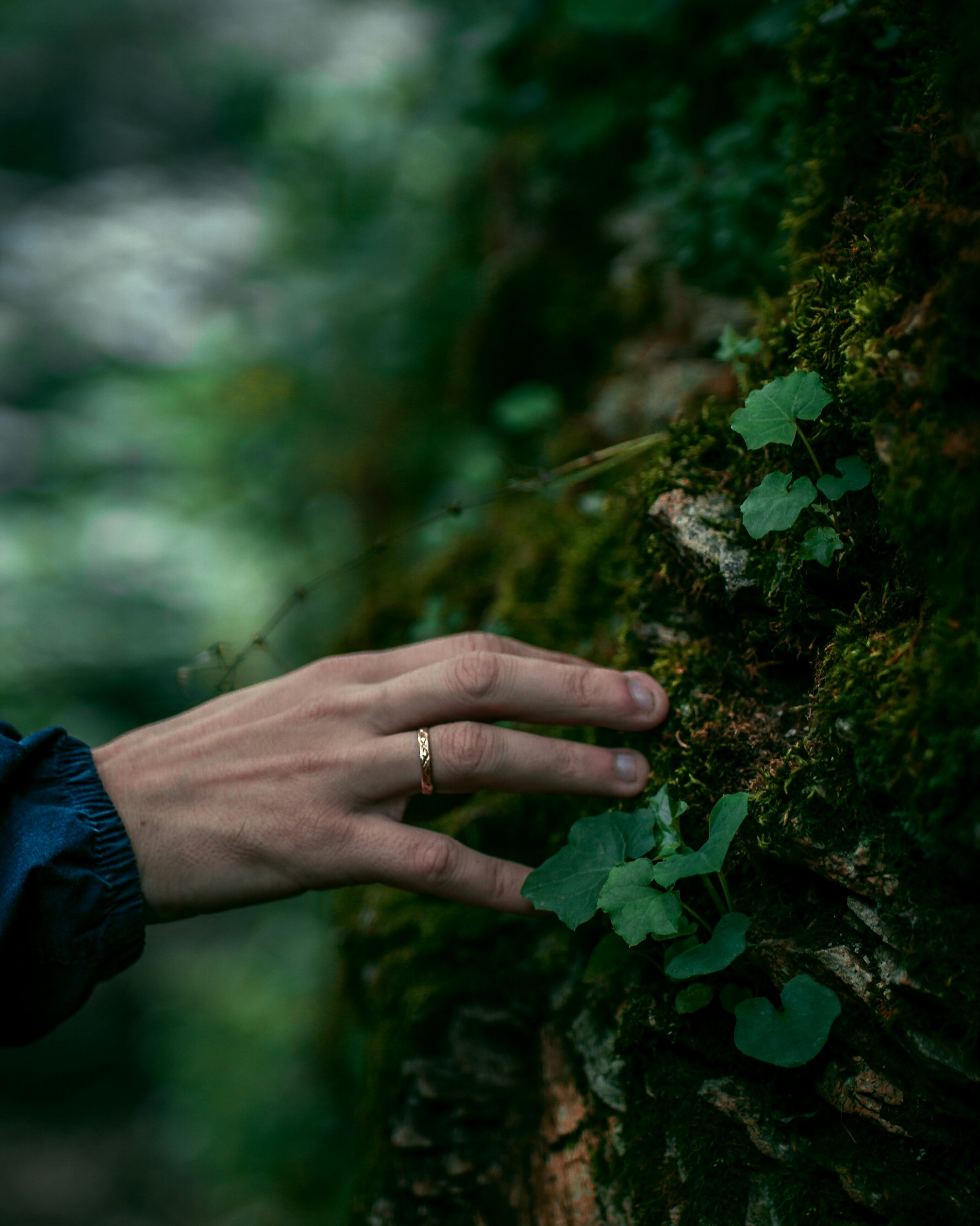 Gentle Touch on Mossy Bark: A Quiet Moment