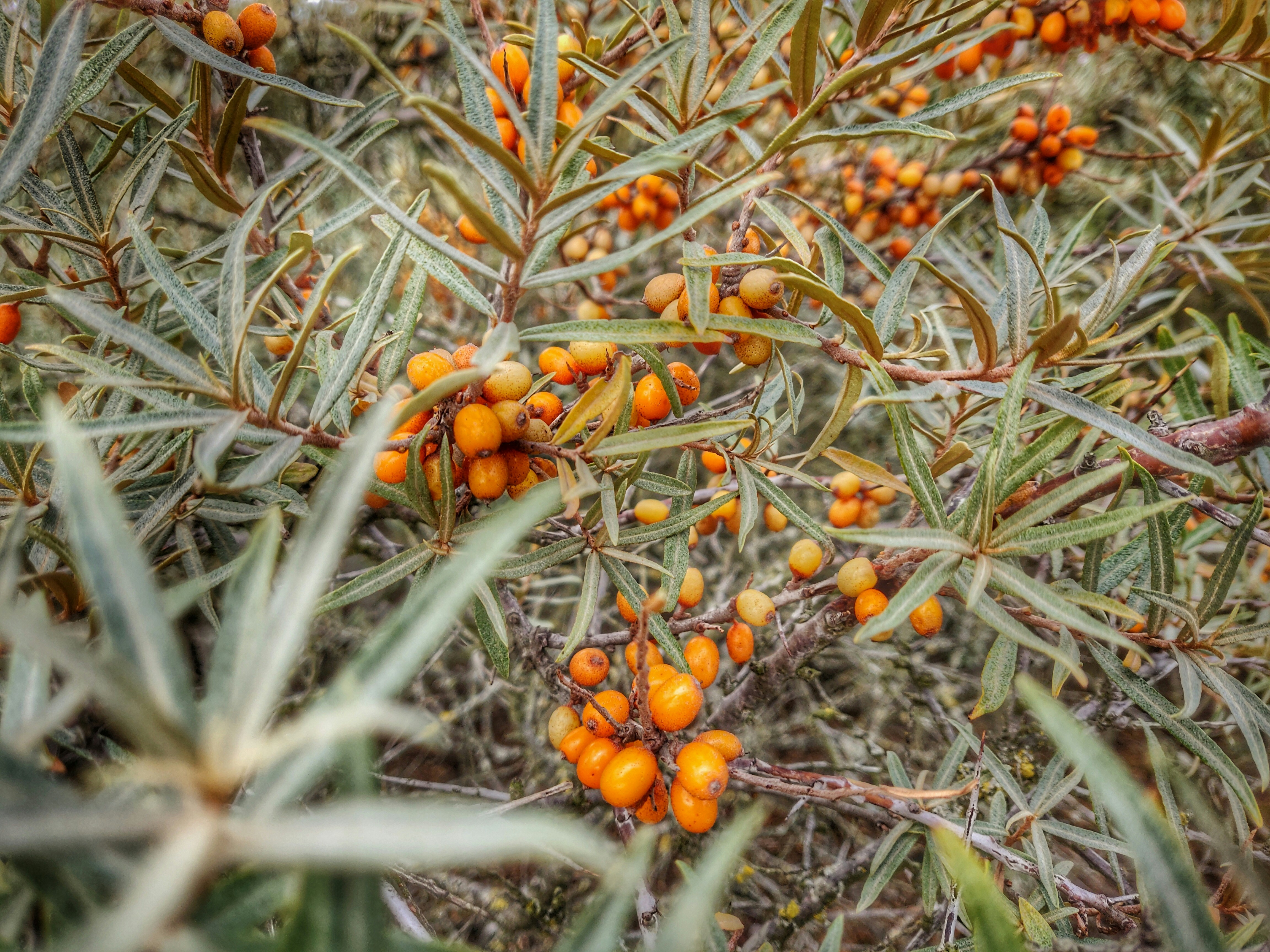 Définition de retranchement | Dictionnaire français