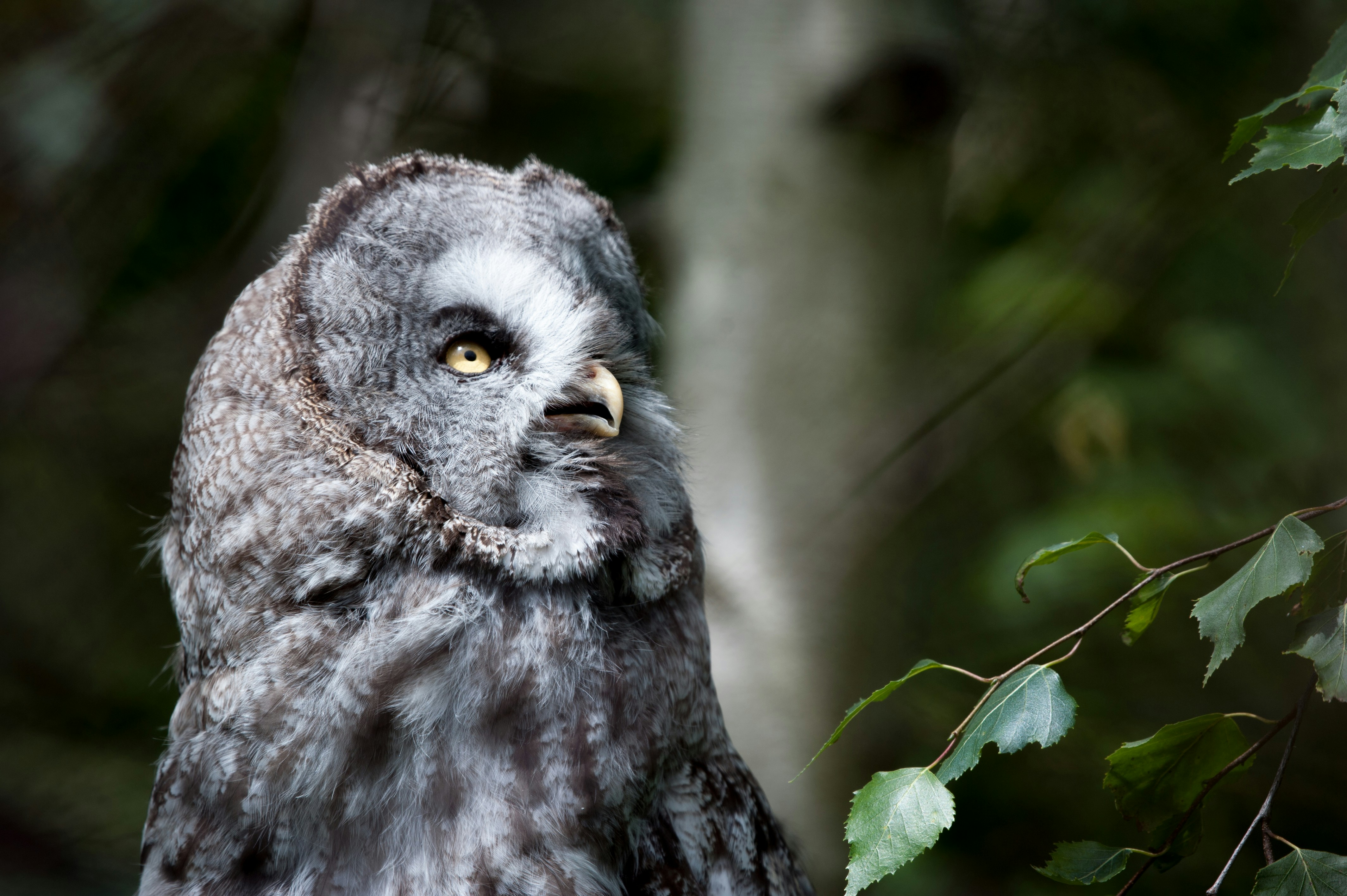 Nikon D700 sample photo - sfR7Qqv0tj - ExploreCams