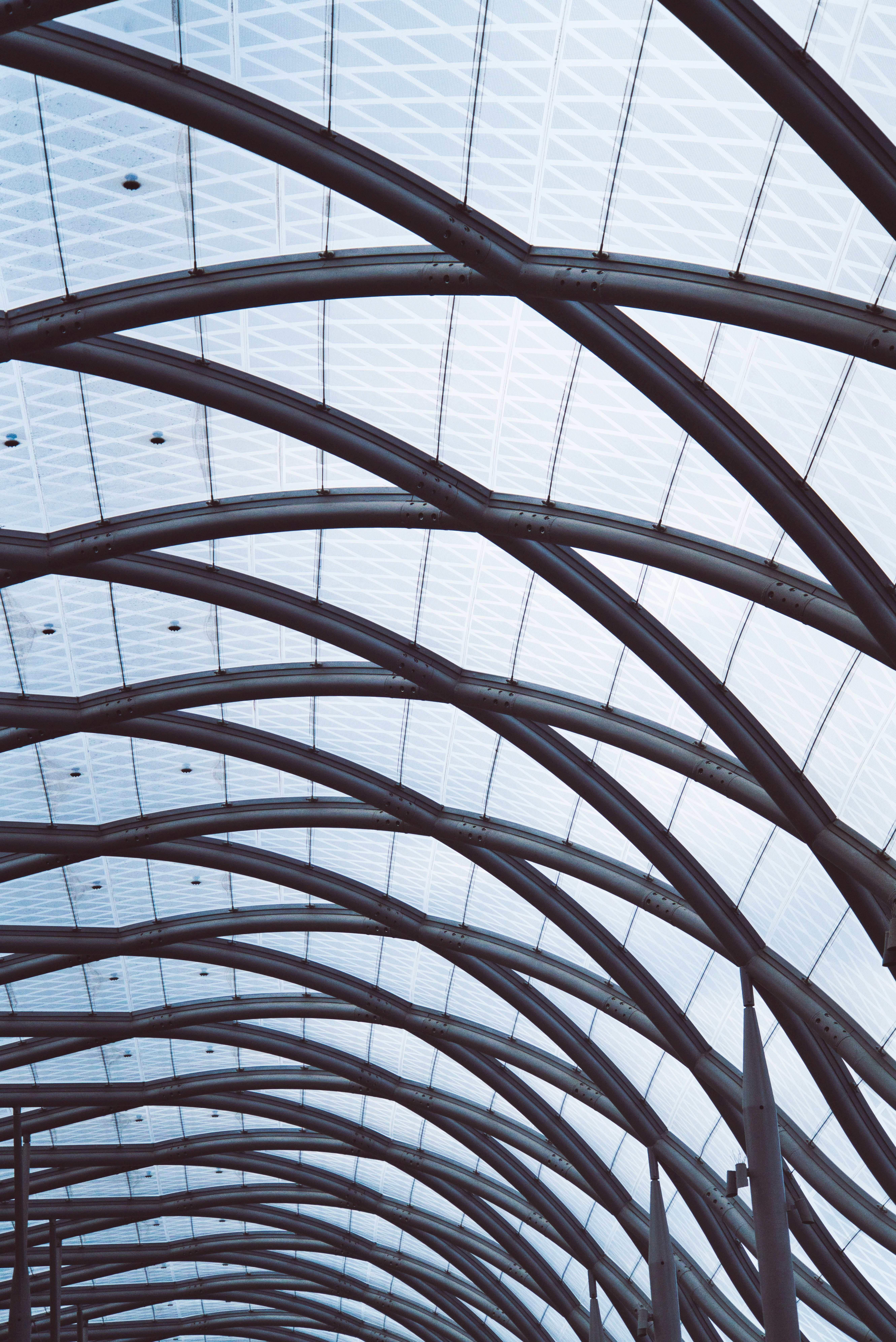 A very large building with a very long ceiling photo – Free Building ...