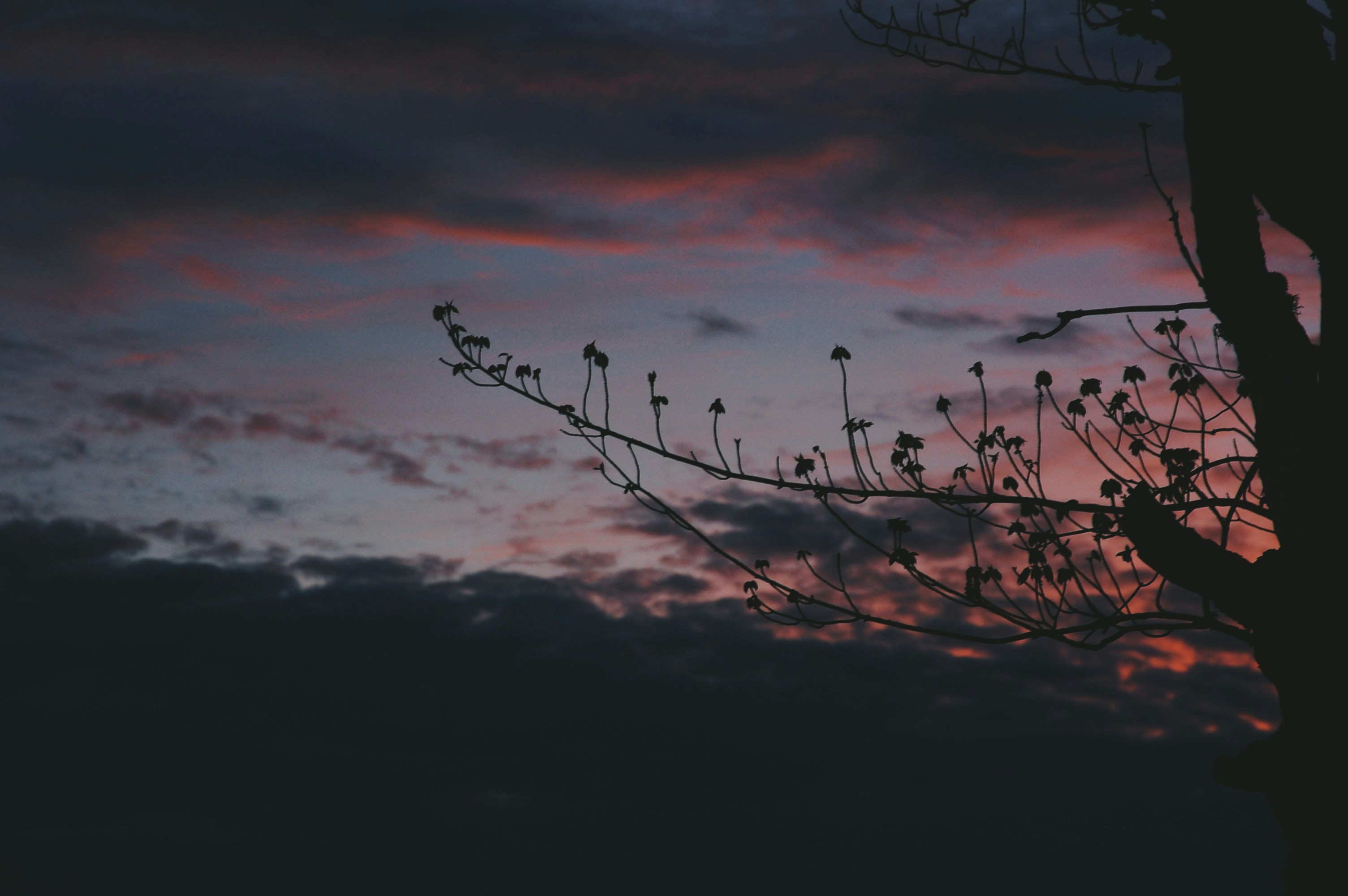 Twilight Silhouettes Against a Fiery Sky