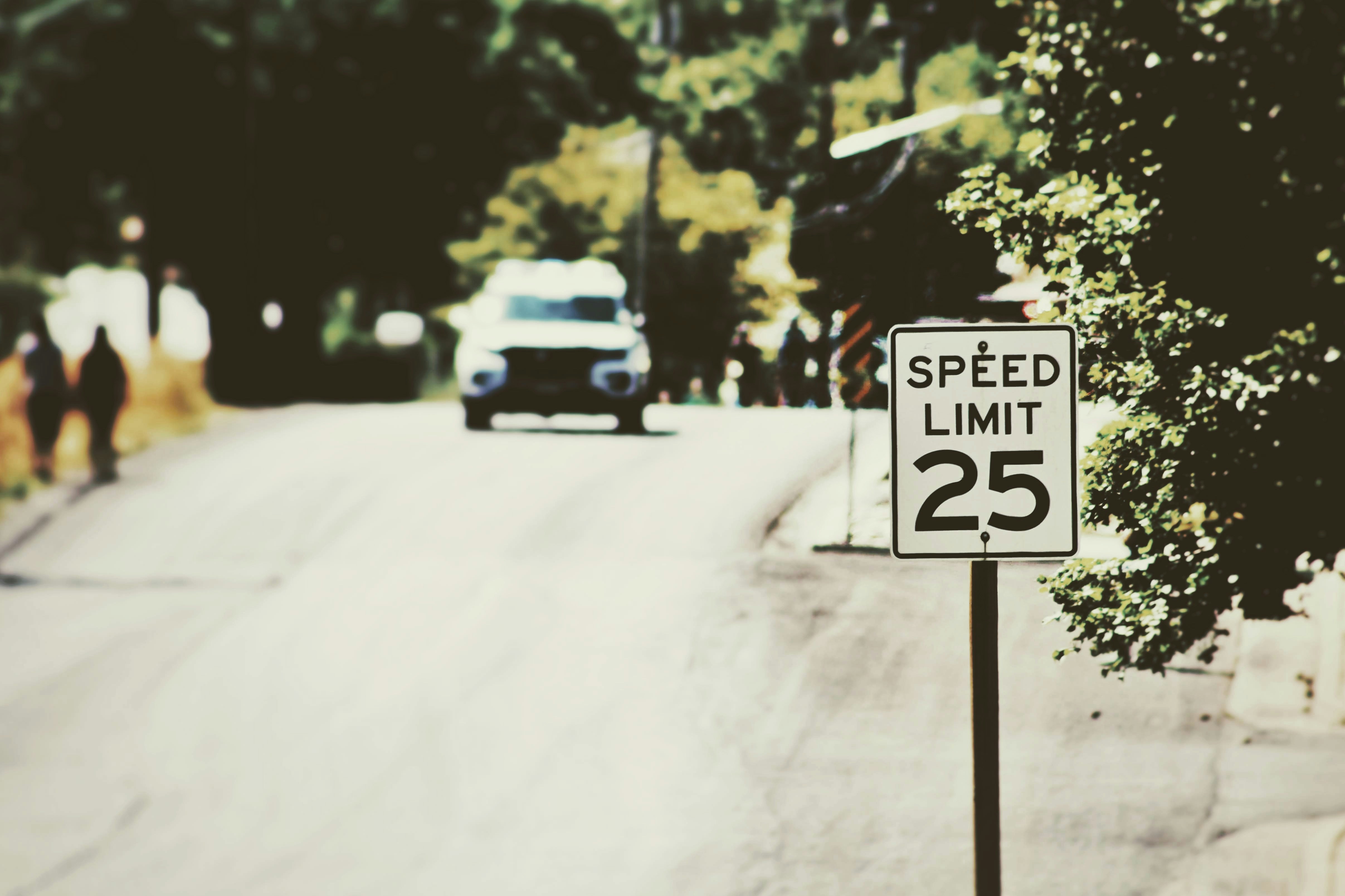 White and black Speed Limit 25 sign besides green tree photo – Free ...