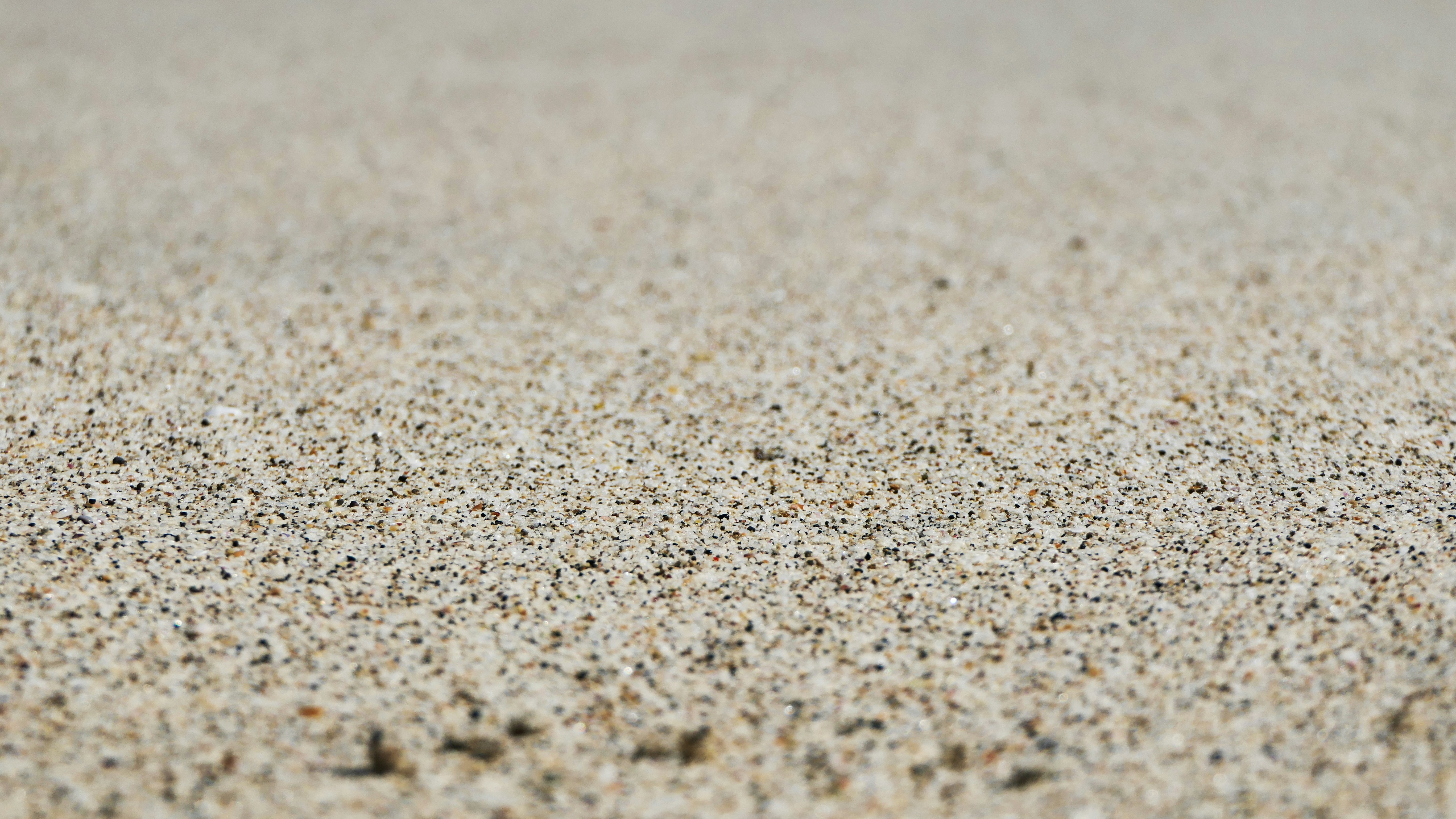 A close up of a sand surface with small dots photo – Free Pantai ...