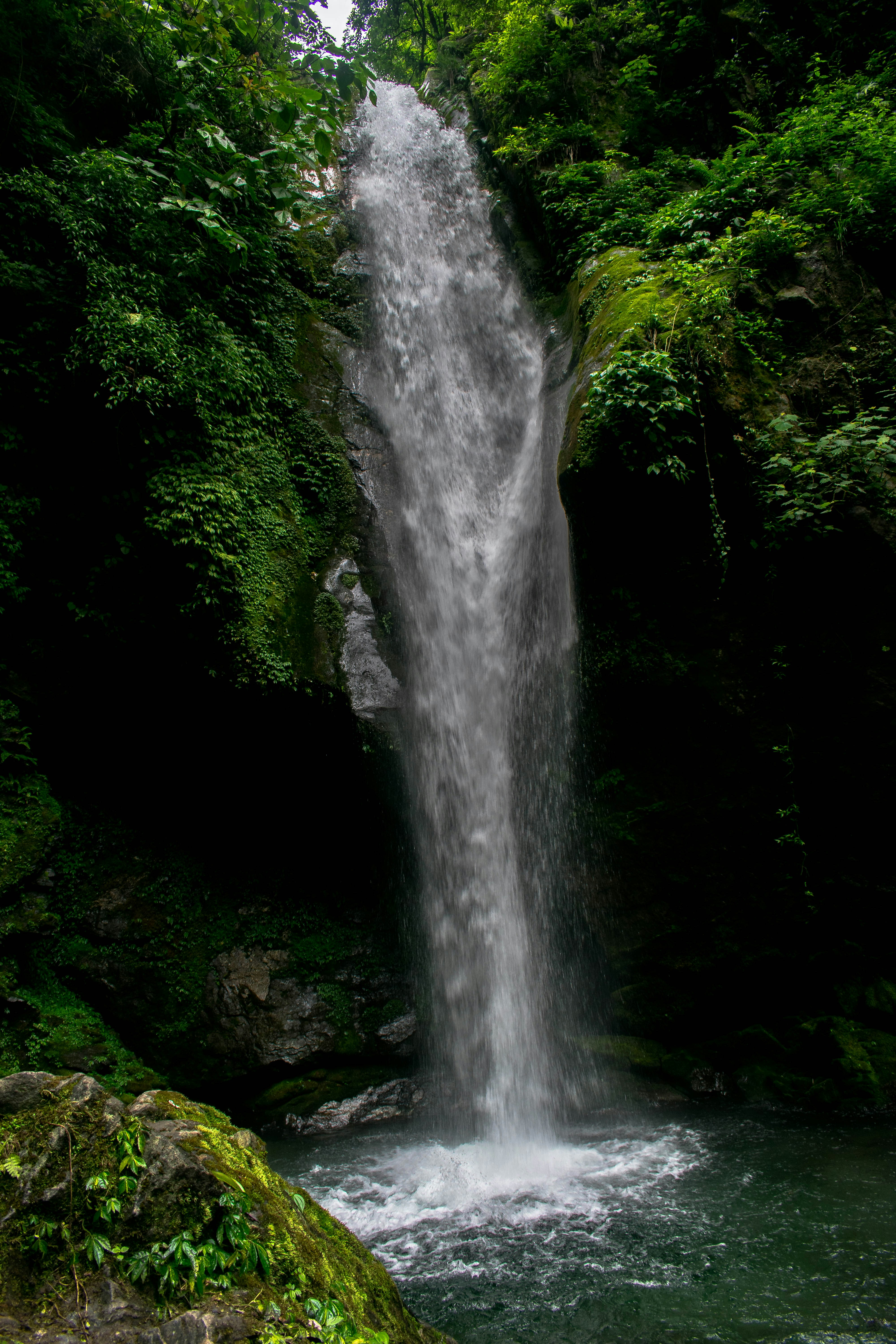 1000+ Water Fall Pictures | Download Free Images on Unsplash
