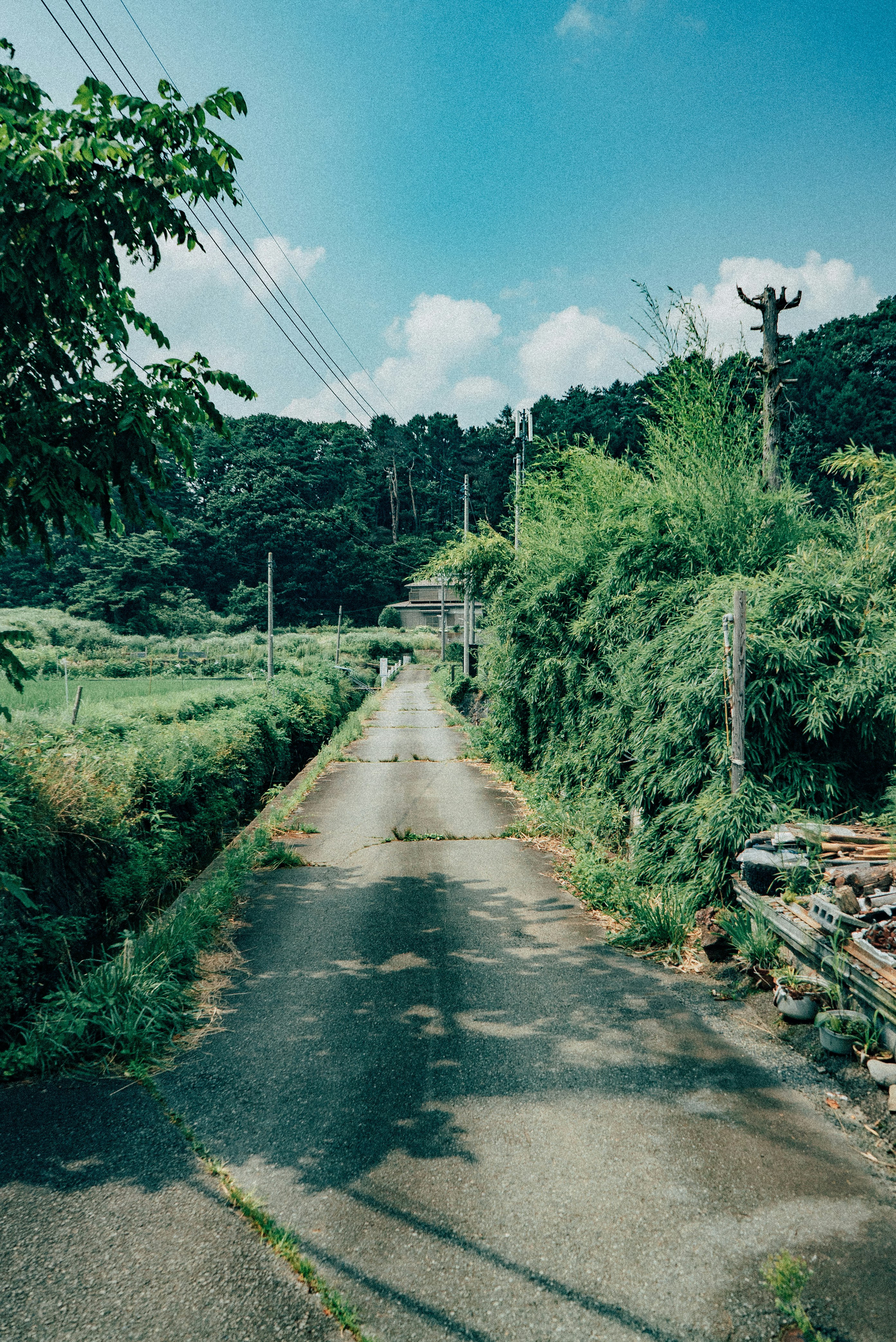 an empty road in the middle of a lush green field