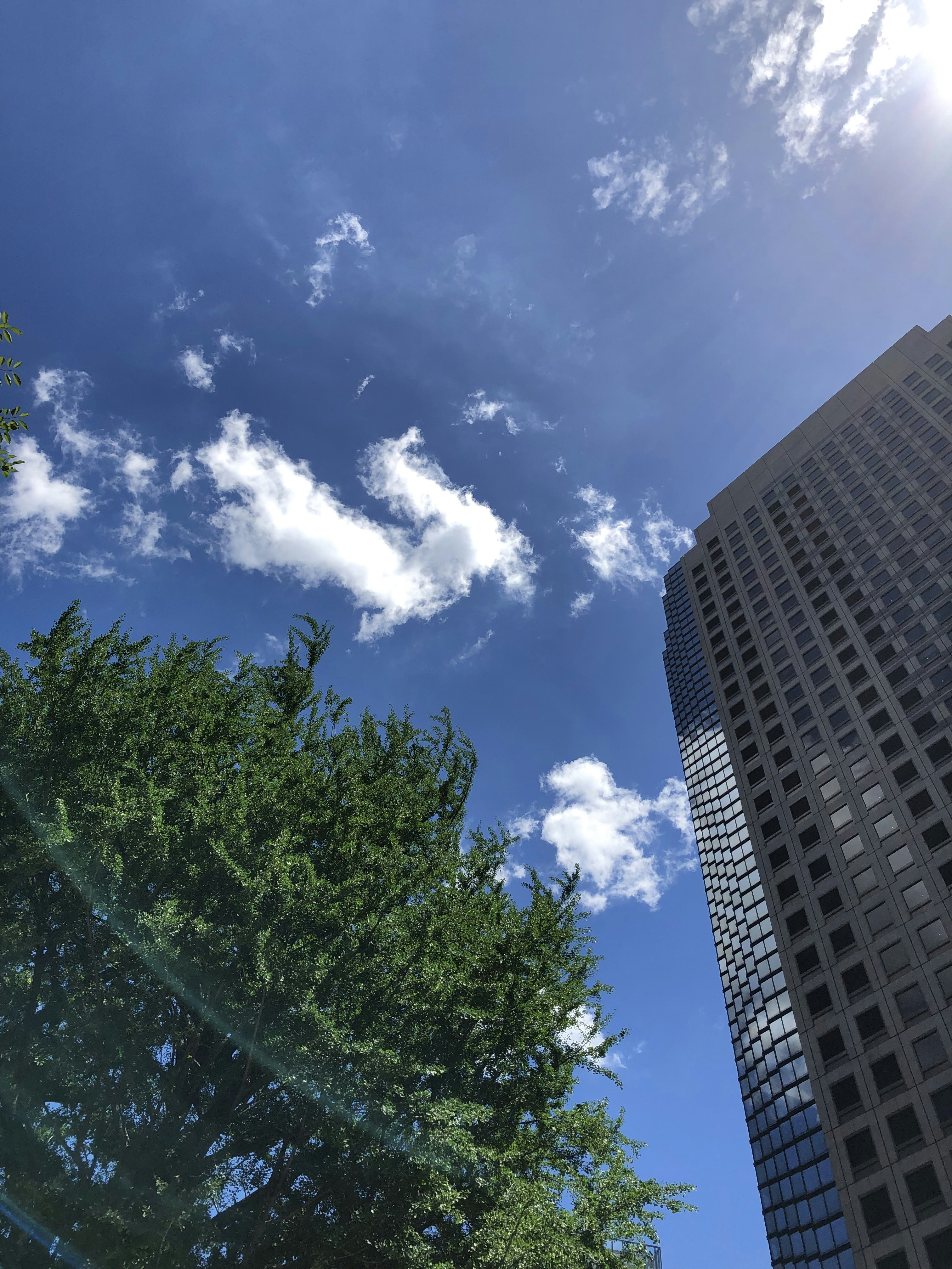 Kunal Sahu (@kunalsahu) | Unsplash 사진 커뮤니티