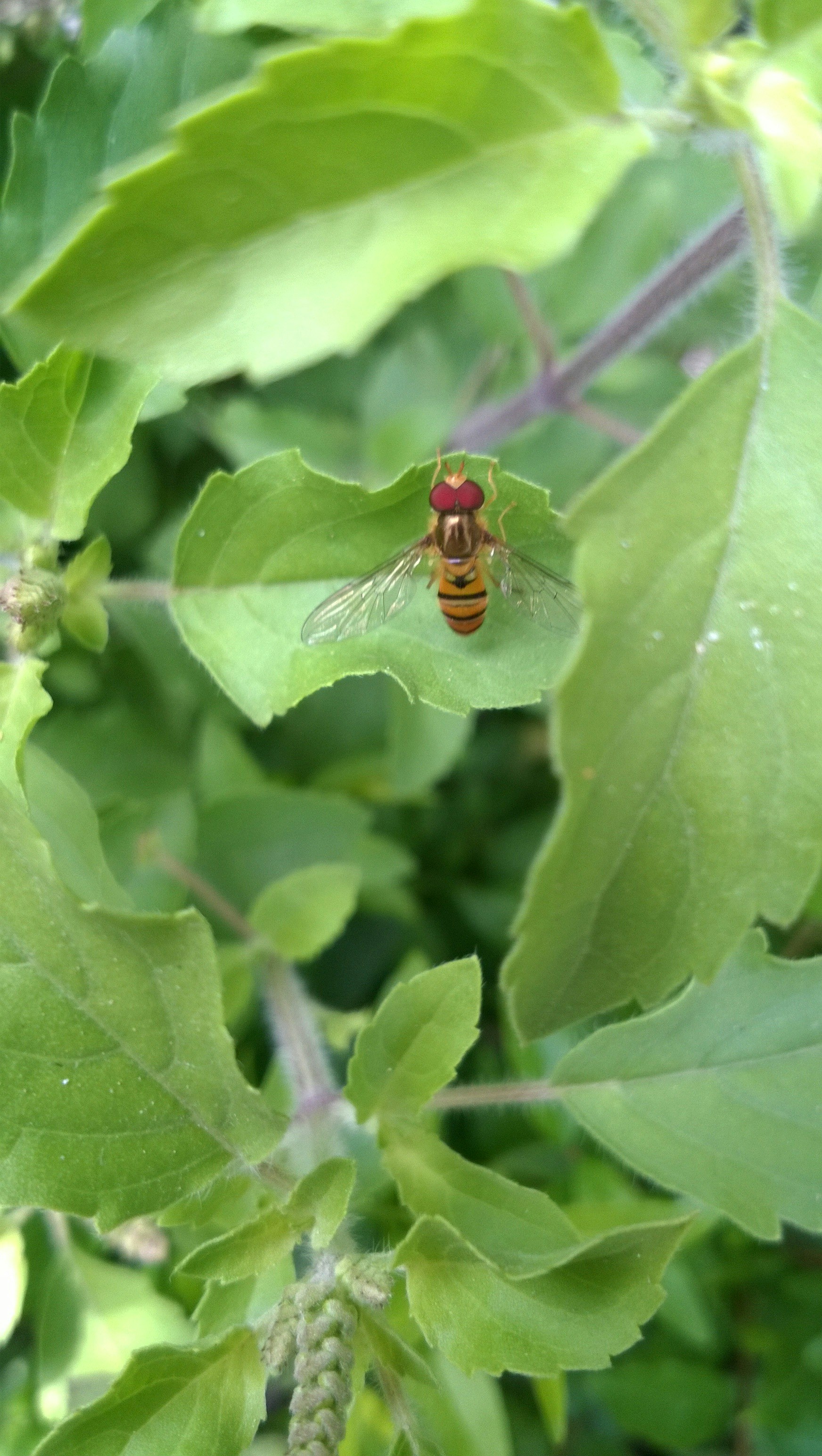 Gulshan Kumar (@gulshan17) | Communauté photos Unsplash