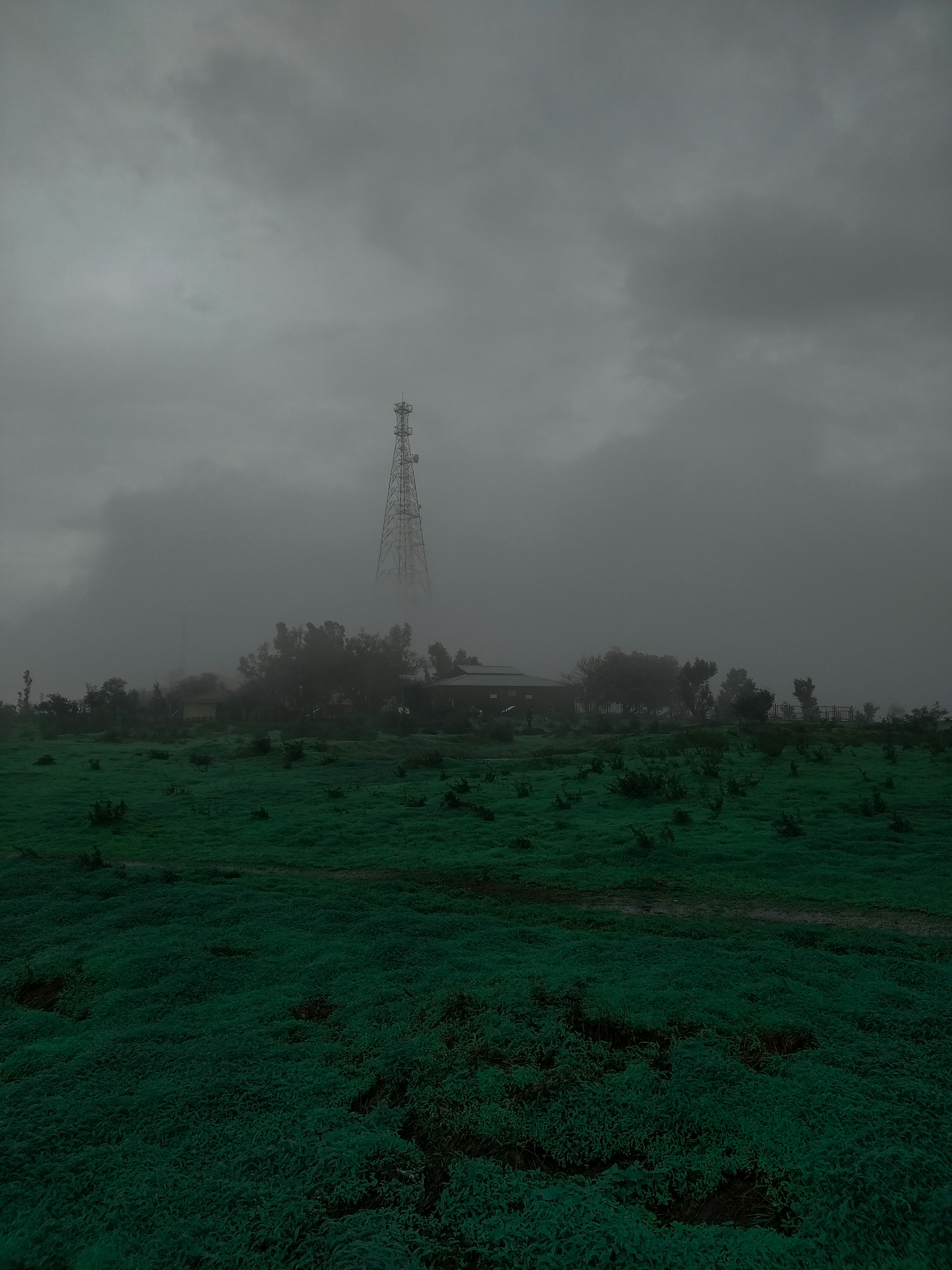 A foggy landscape obscuring a communication tower amidst lush green vegetation. The scene evokes a sense of mystery and isolation.