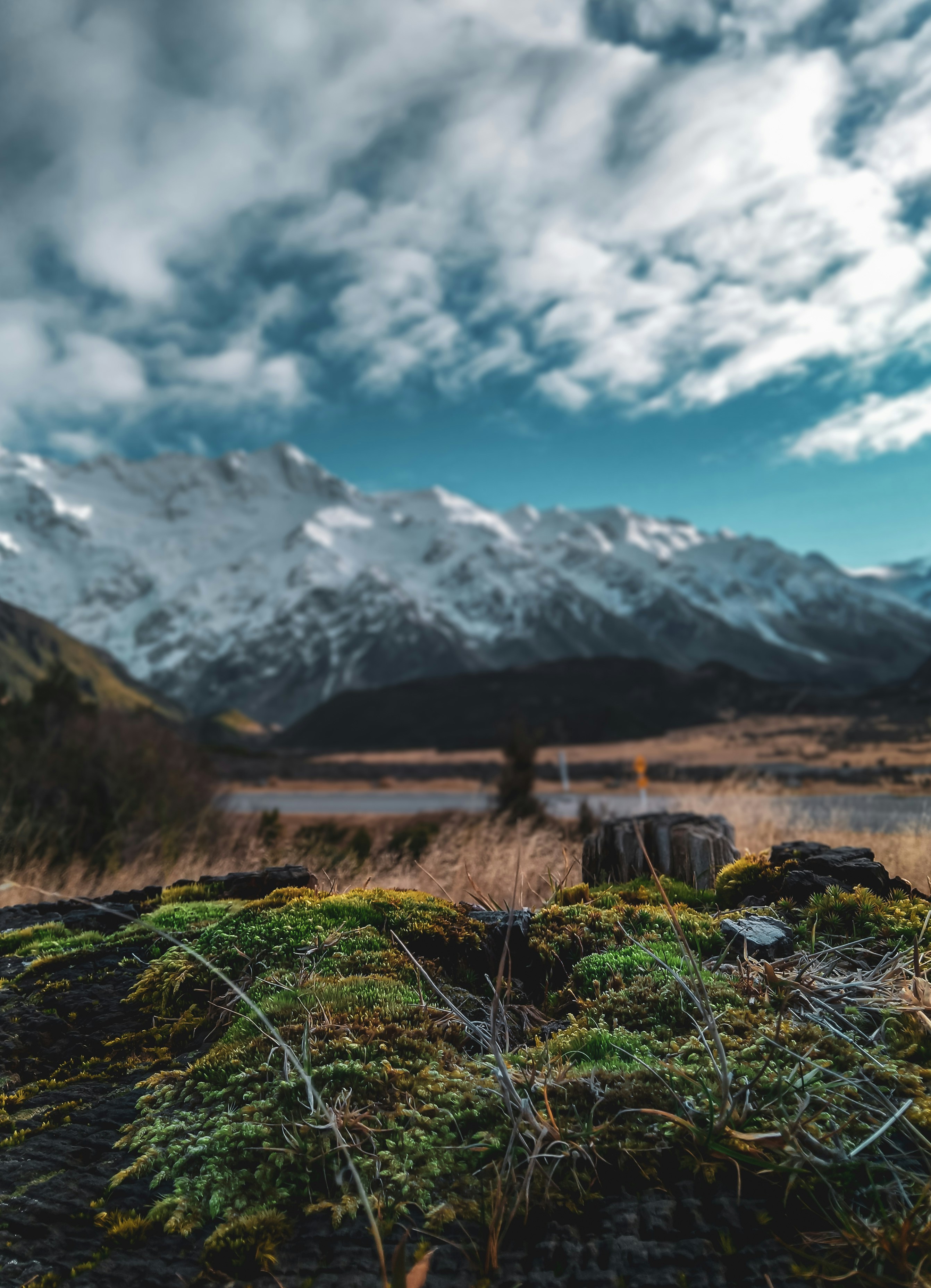 Moss-Blanketed Foreground Framing Snowy Peaks